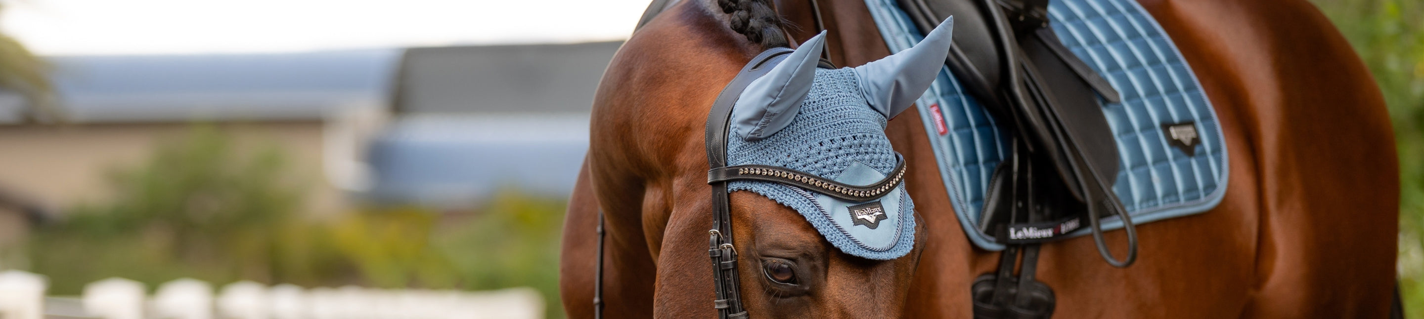 Bonnets Ear Nets – Page 2 – EQ Saddlery