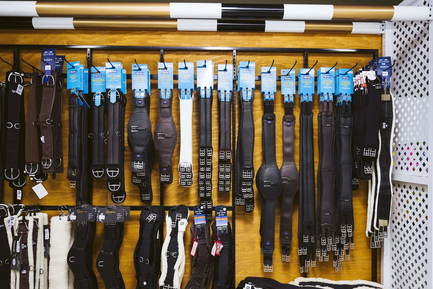 Cinches for Horses | EQ Saddlery