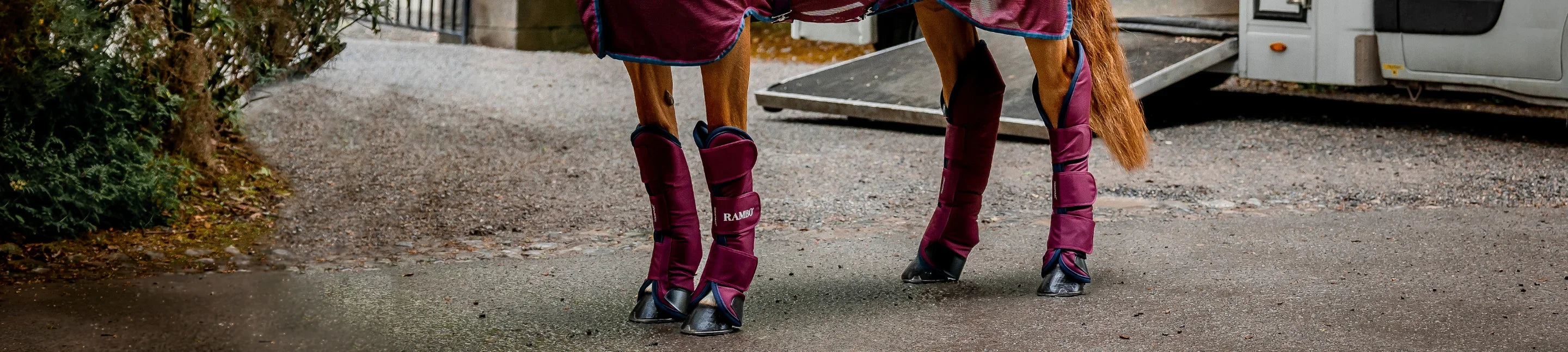 Float Boots | Buy Horse Float Boots Online Australia – EQ Saddlery