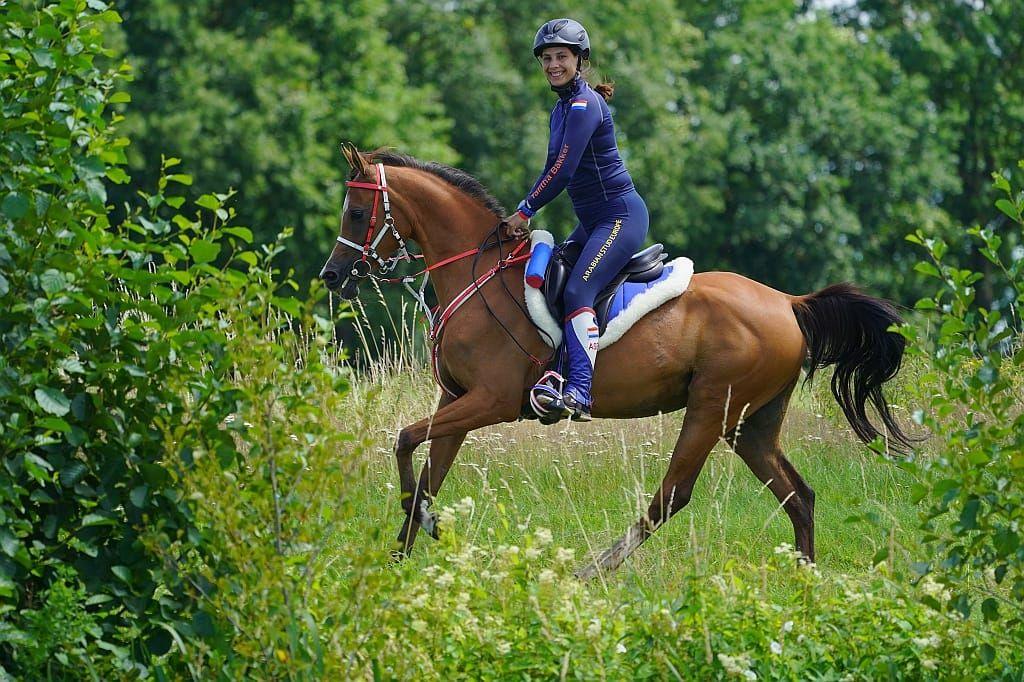 Endurance Saddles | Saddles for Long Distance | EQ Saddlery