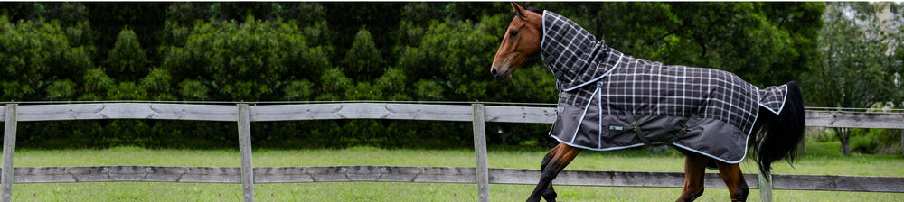 EQ Saddlery | Horse Riding Equipment & Gear | Horse Shop Australia