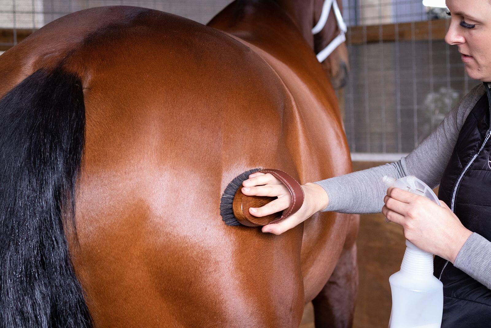 Horse Clippers & Grooming Accessories | EQ Saddlery