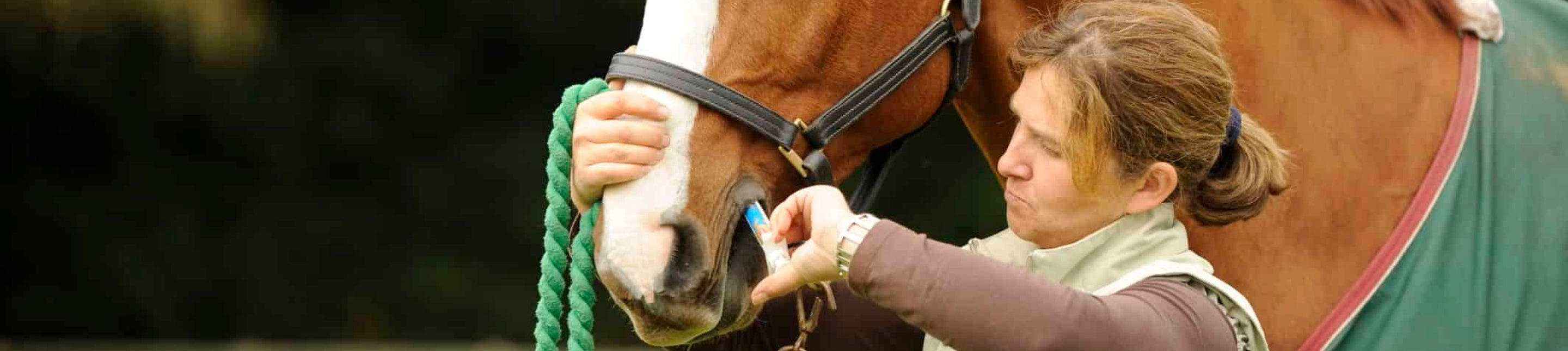 Wormers – EQ Saddlery