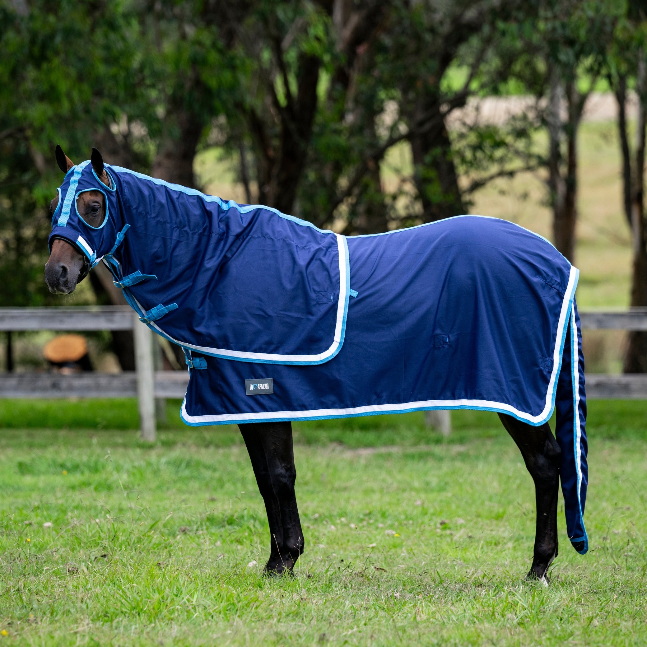 EQ Armour Show Set – EQ Saddlery