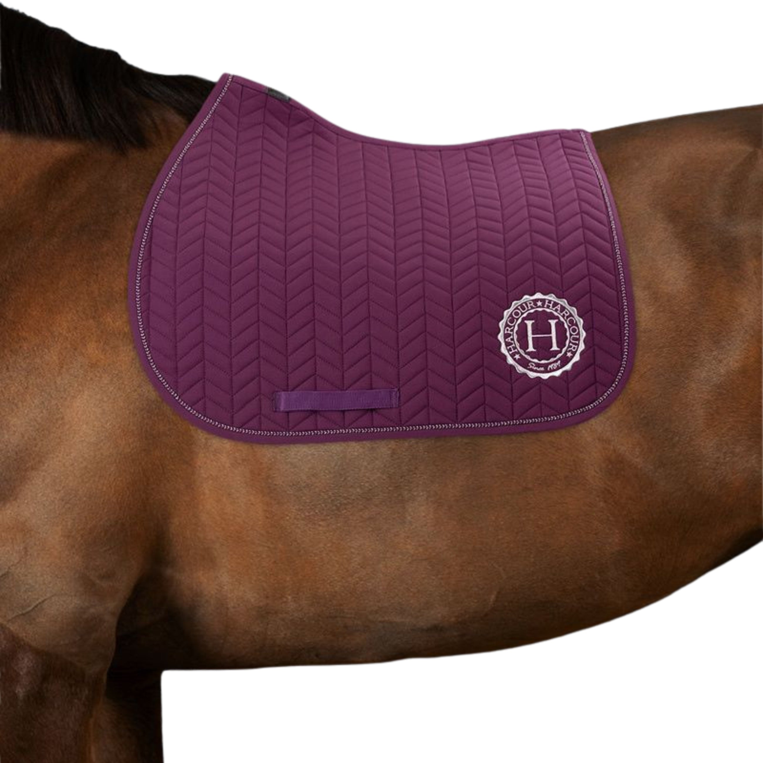 Harcour Alaska Jump Saddle Pad – EQ Saddlery