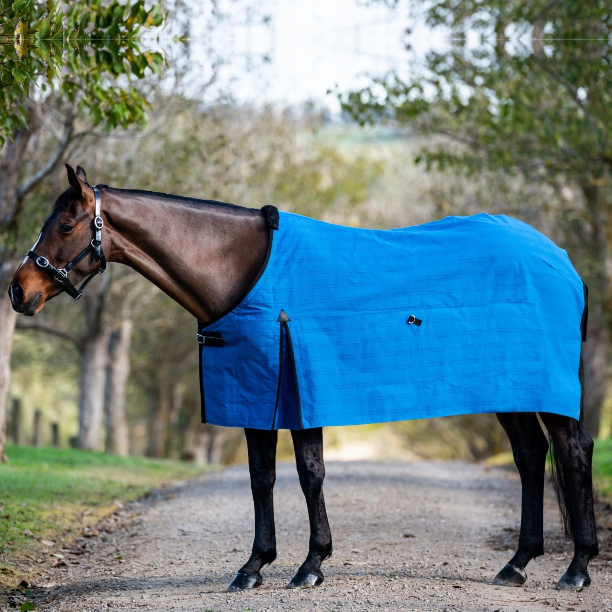 Devon Unlined Canvas Rug – EQ Saddlery