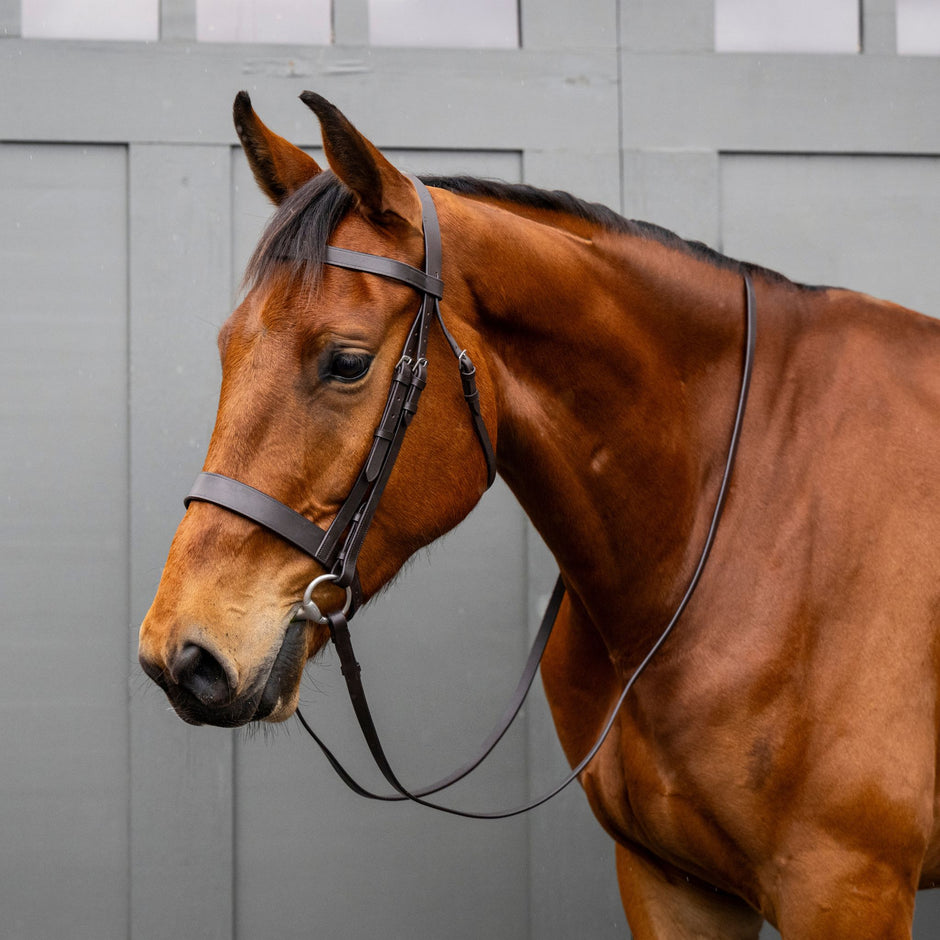 Cavesson & Snaffle Bridles for Horses | EQ Saddlery