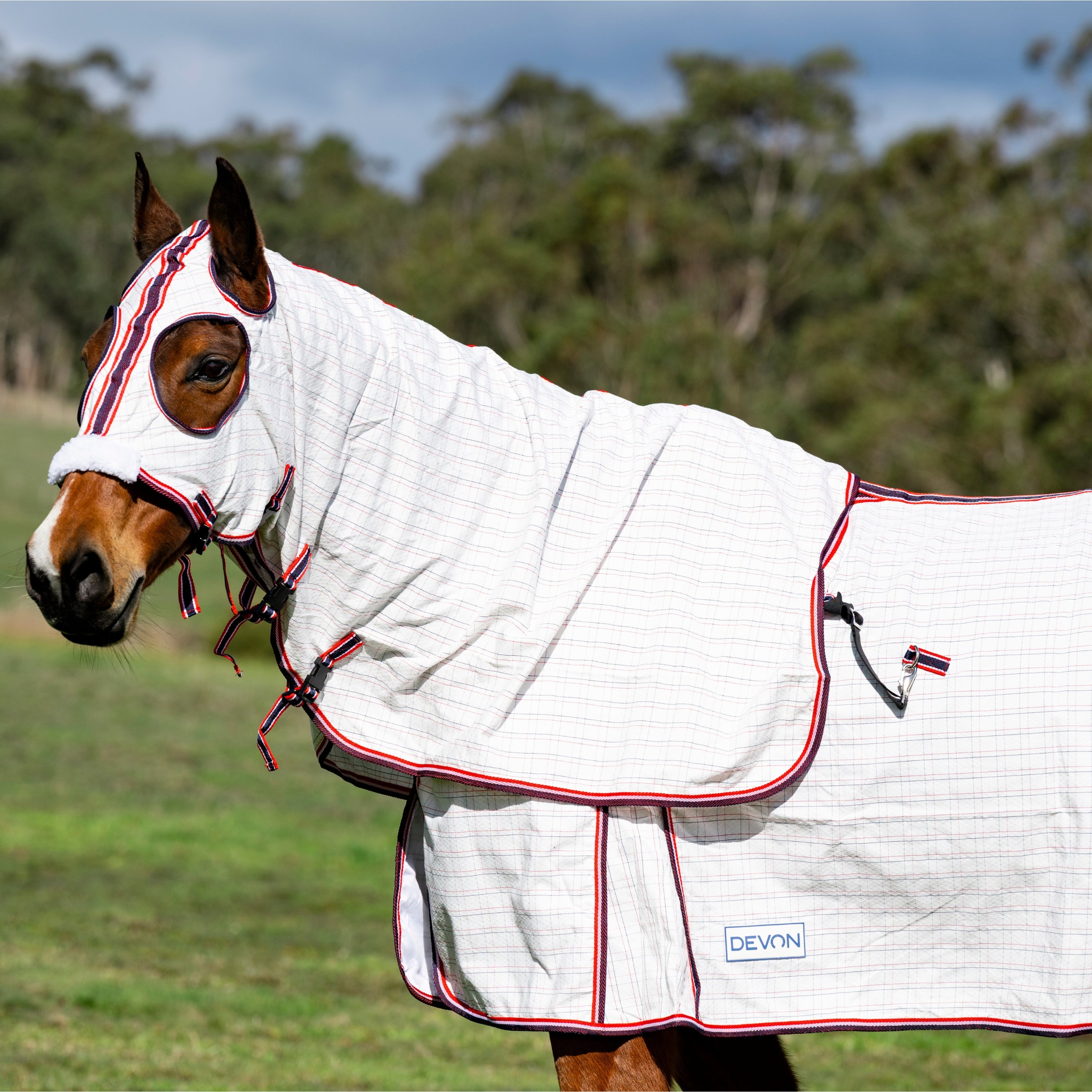 Devon Diamond Light Hood – EQ Saddlery