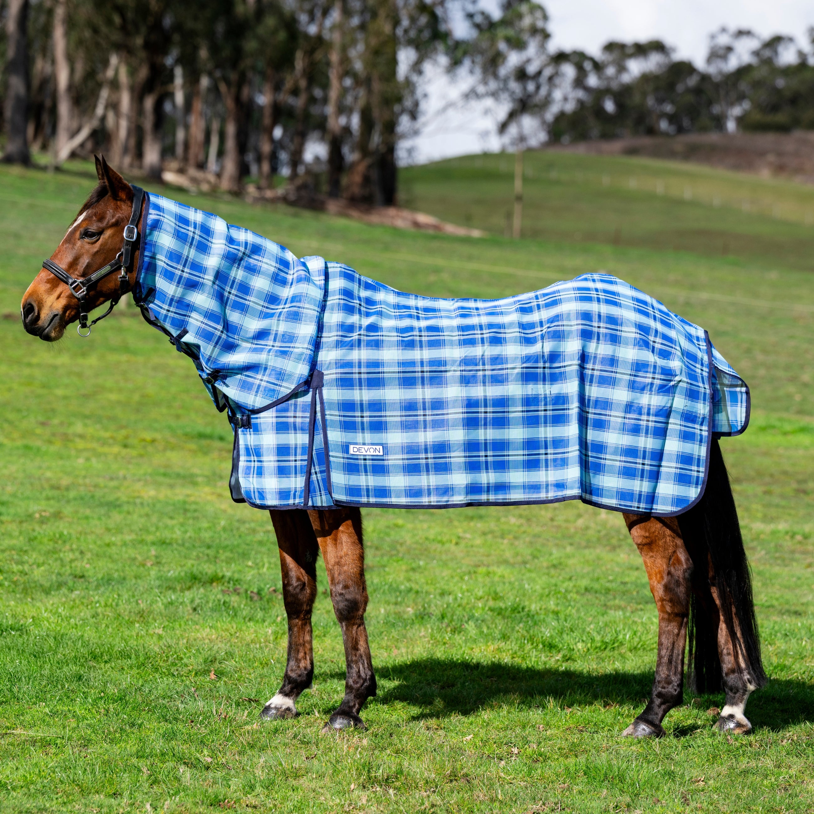 New at EQ – EQ Saddlery