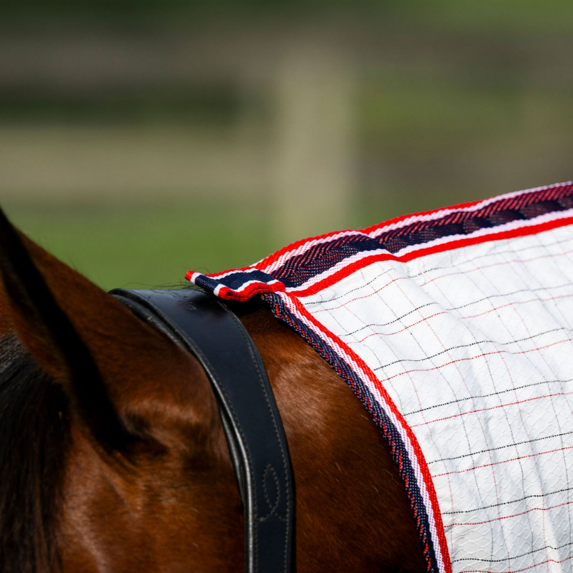 Devon Diamond Light Combo – EQ Saddlery