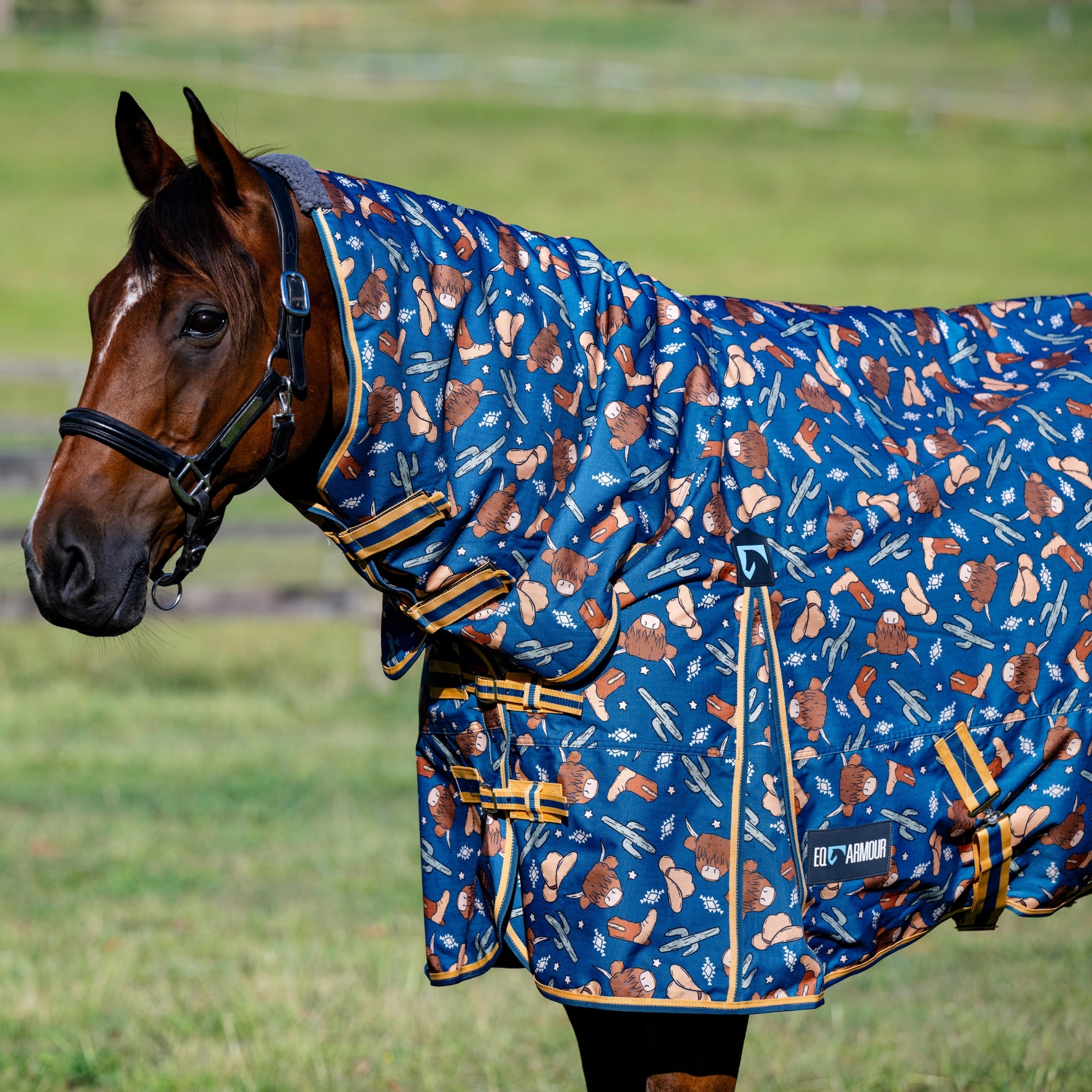 EQ Armour Ascent 600D 180g Combo – EQ Saddlery