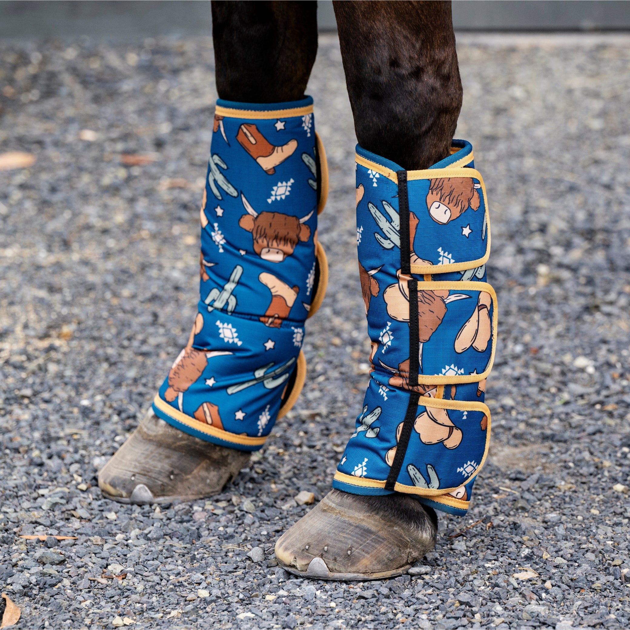 EQ Armour Float Boots – EQ Saddlery