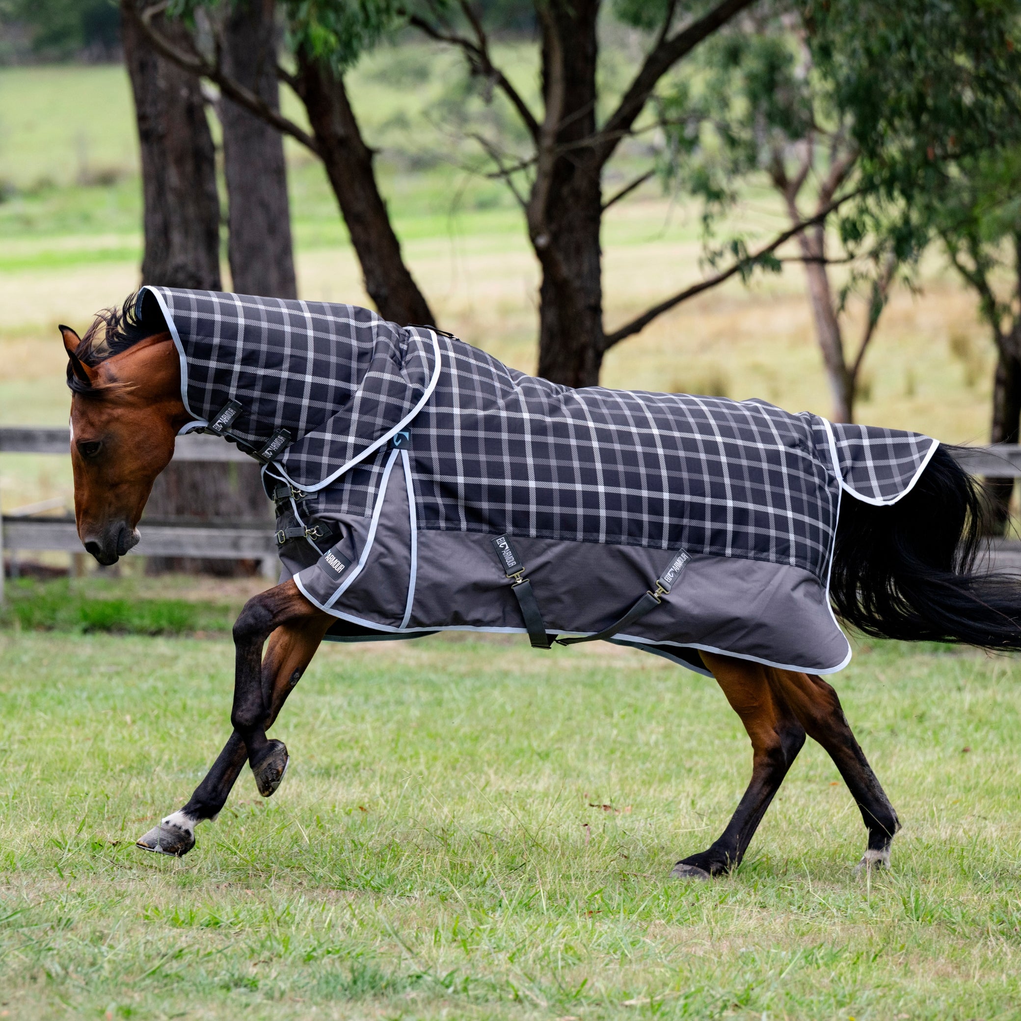 EQ Armour Ascent Plus 1200D 180g Detach-a-Neck – EQ Saddlery