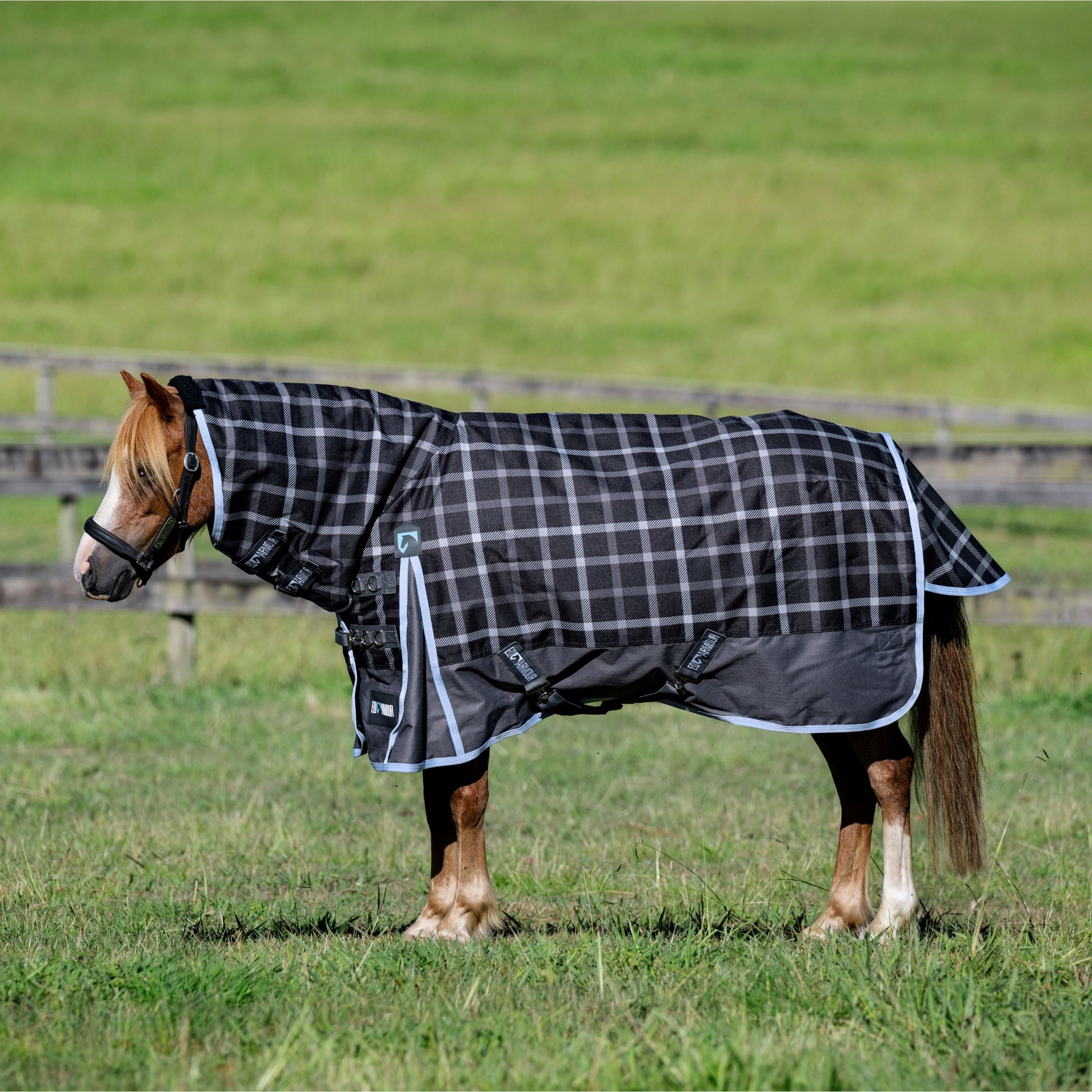 EQ Armour Ascent Plus 1200D 180g Combo Pony – EQ Saddlery