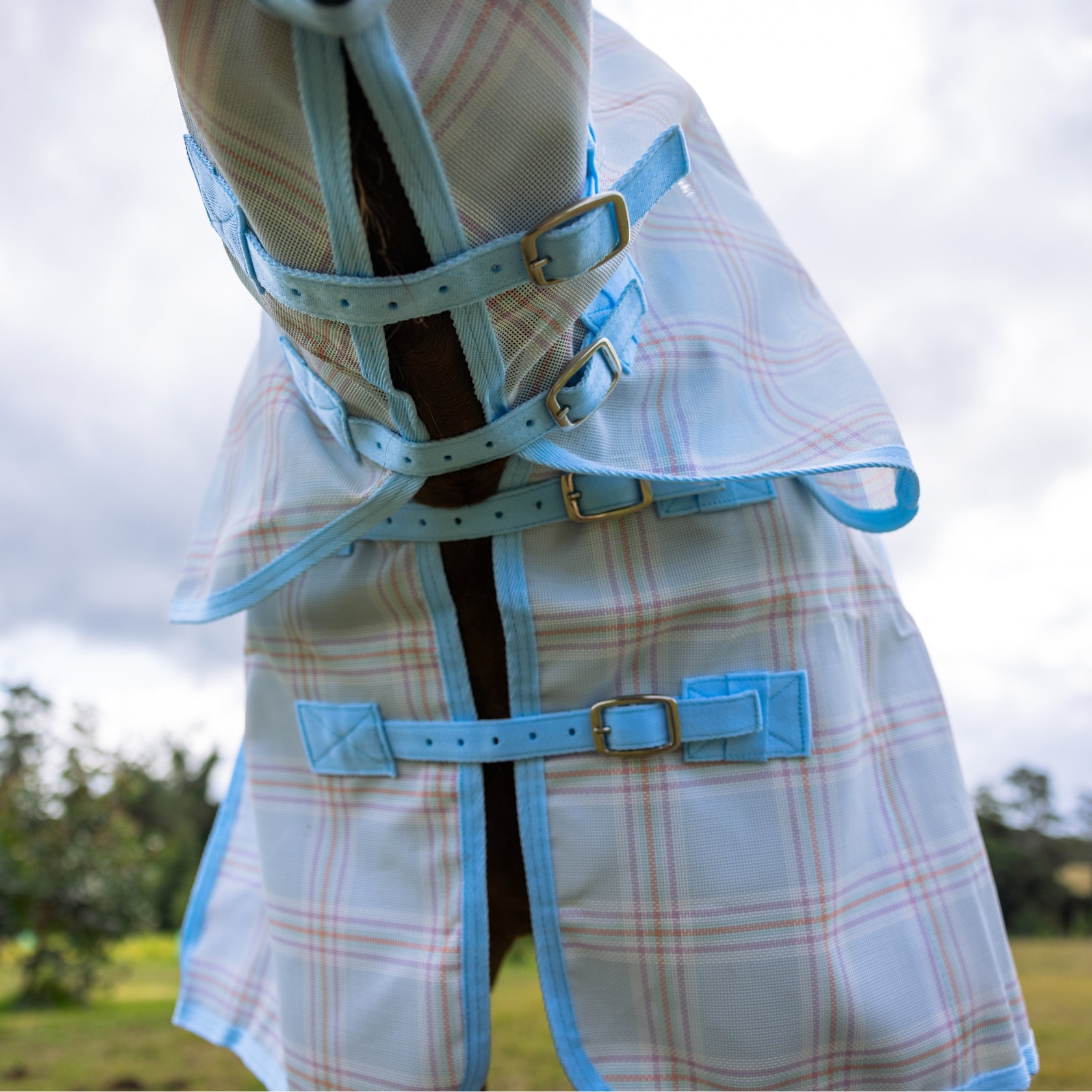 Buy EQ Armour PVC Mesh Combo $109.99