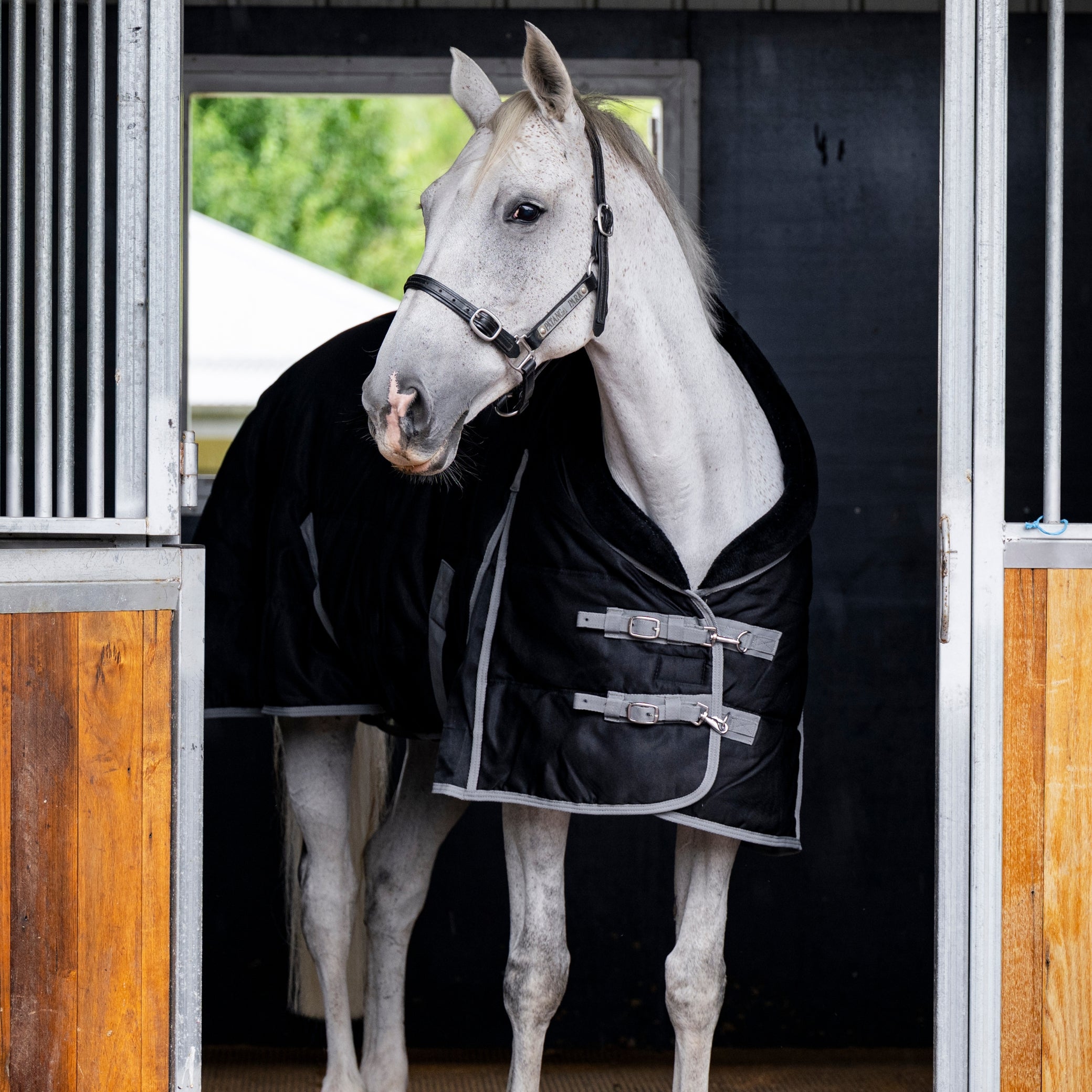 EQ Armour Stable Rug – EQ Saddlery