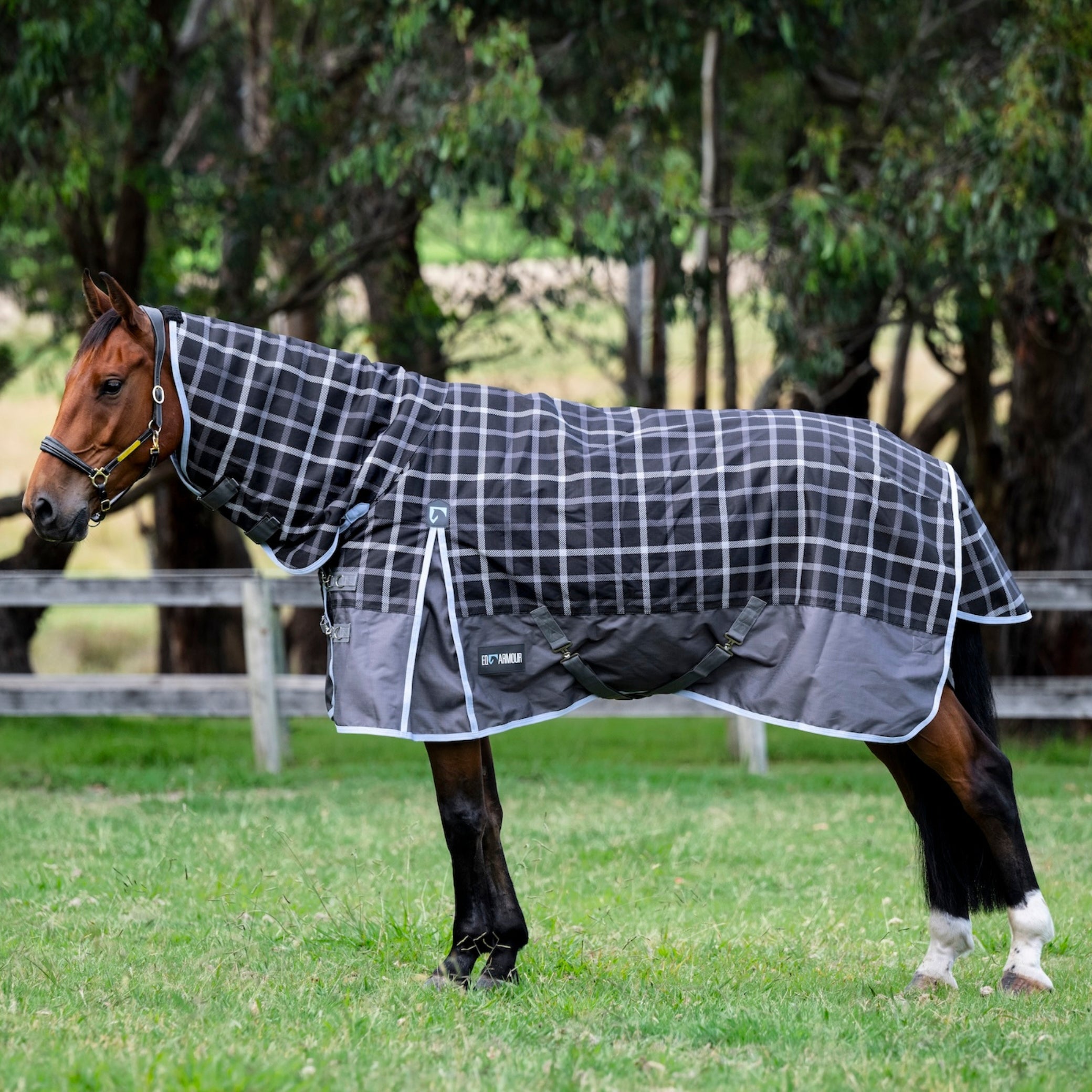 EQ Armour Ascent Plus 1200D 180g Combo – EQ Saddlery