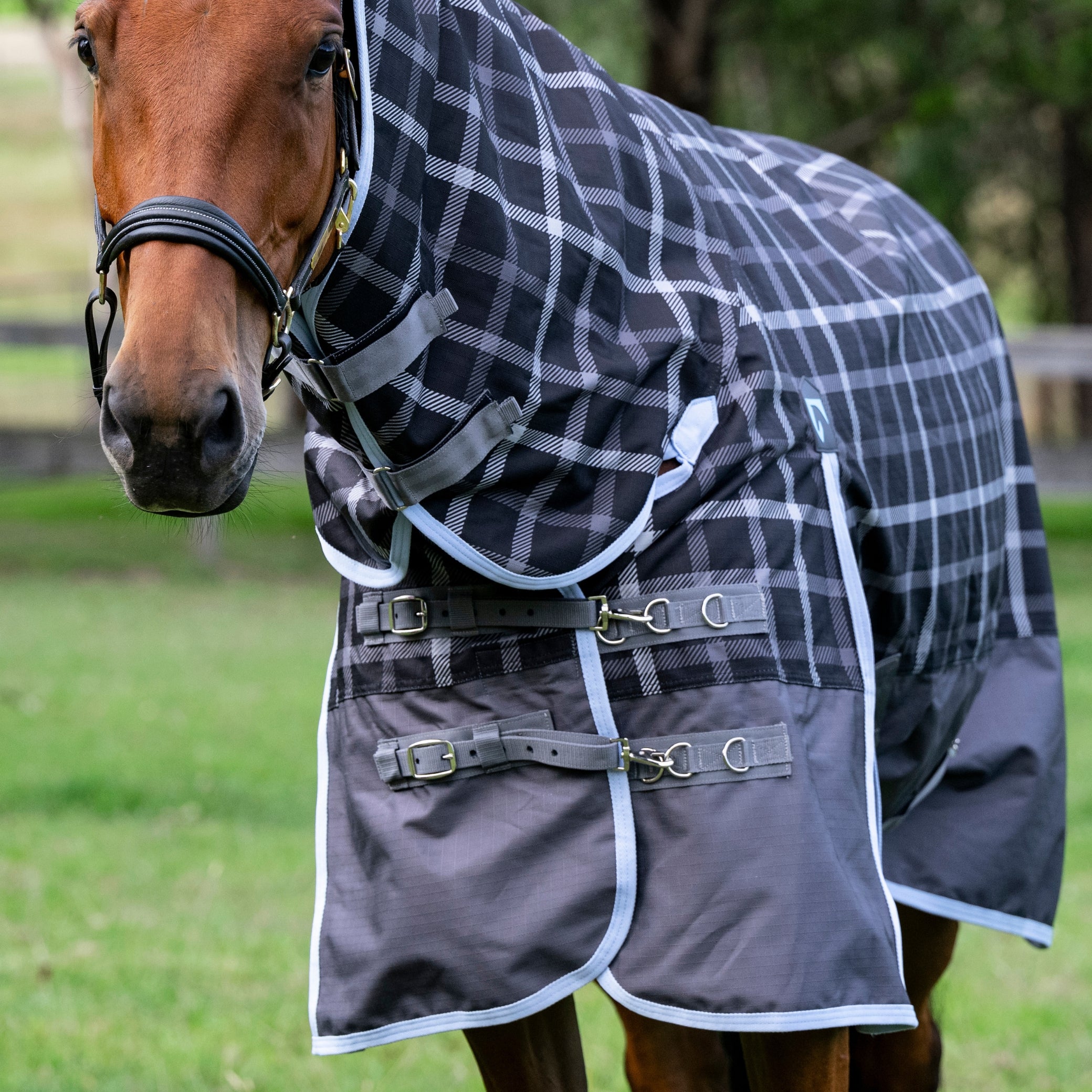 EQ Armour Ascent Plus 1200D 180g Combo – EQ Saddlery