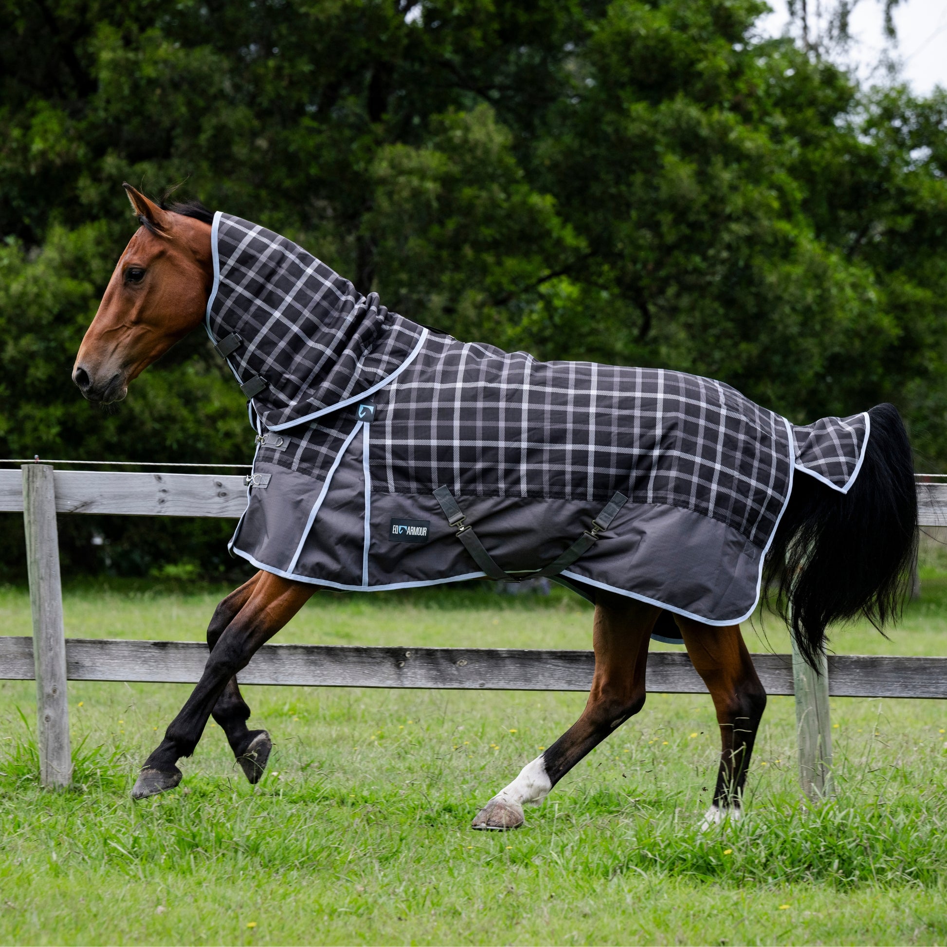 EQ Armour Ascent Plus 1200D 180g Detach-a-Neck – EQ Saddlery