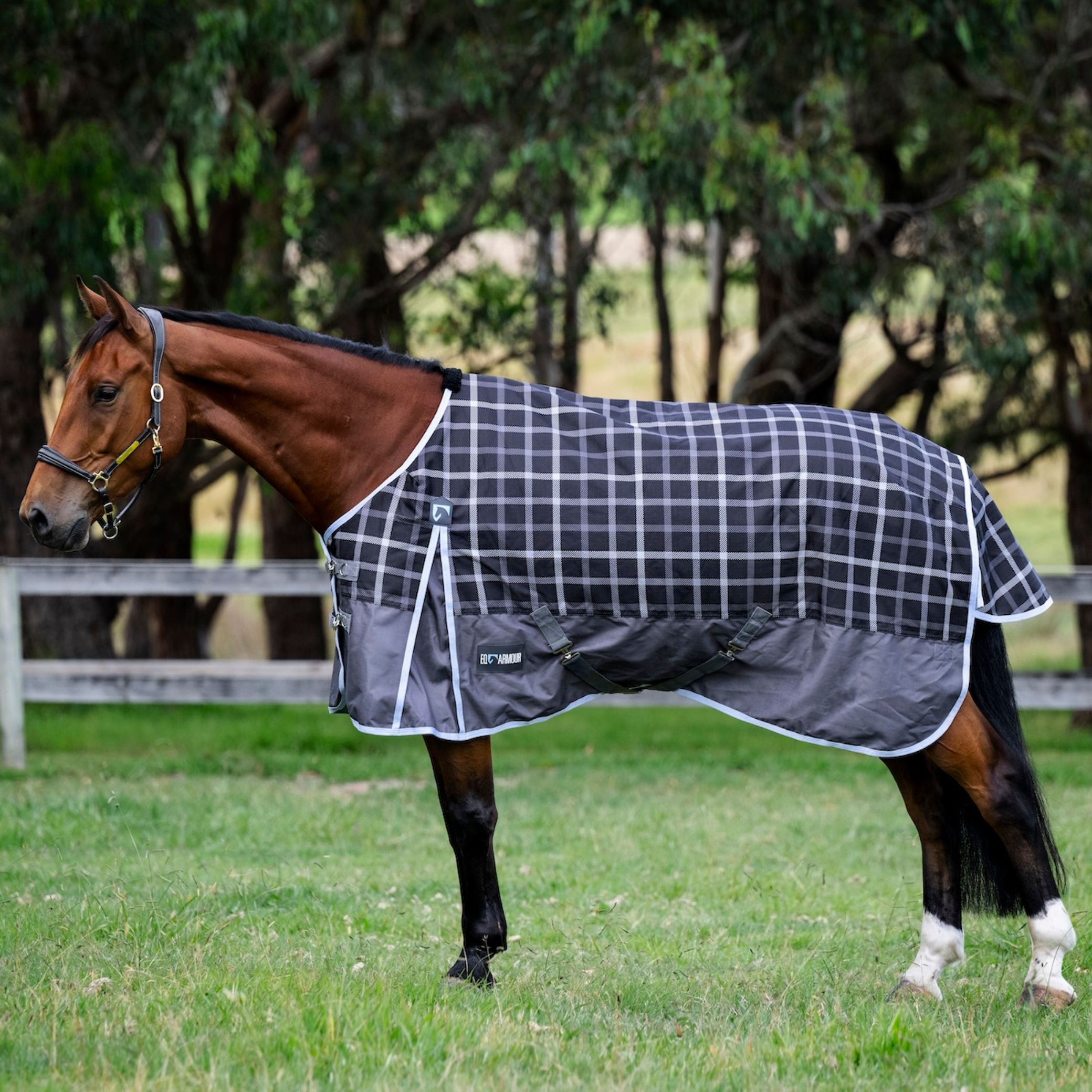 EQ Armour Ascent Plus 1200D 180g Rug – EQ Saddlery