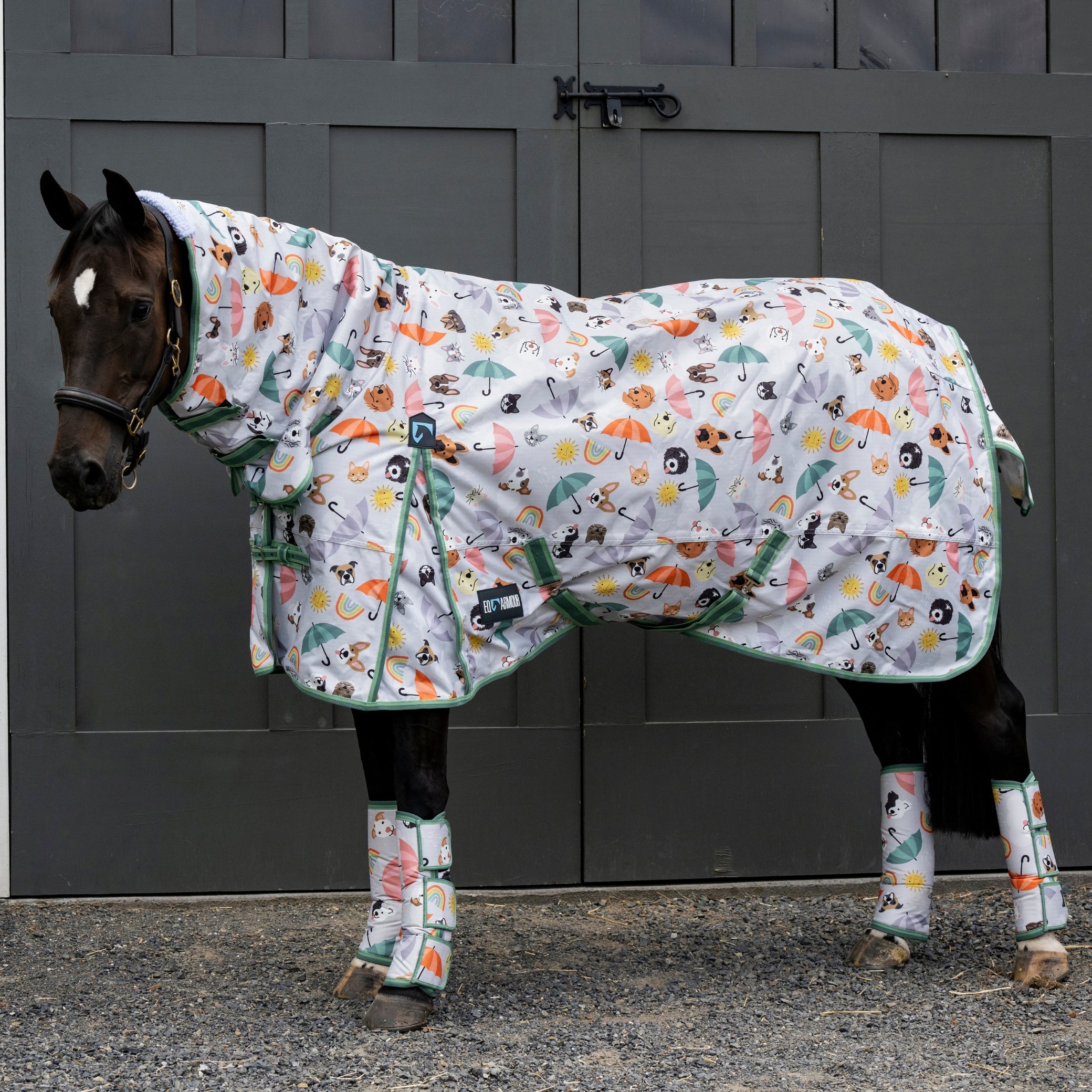 EQ Armour Float Boots – EQ Saddlery