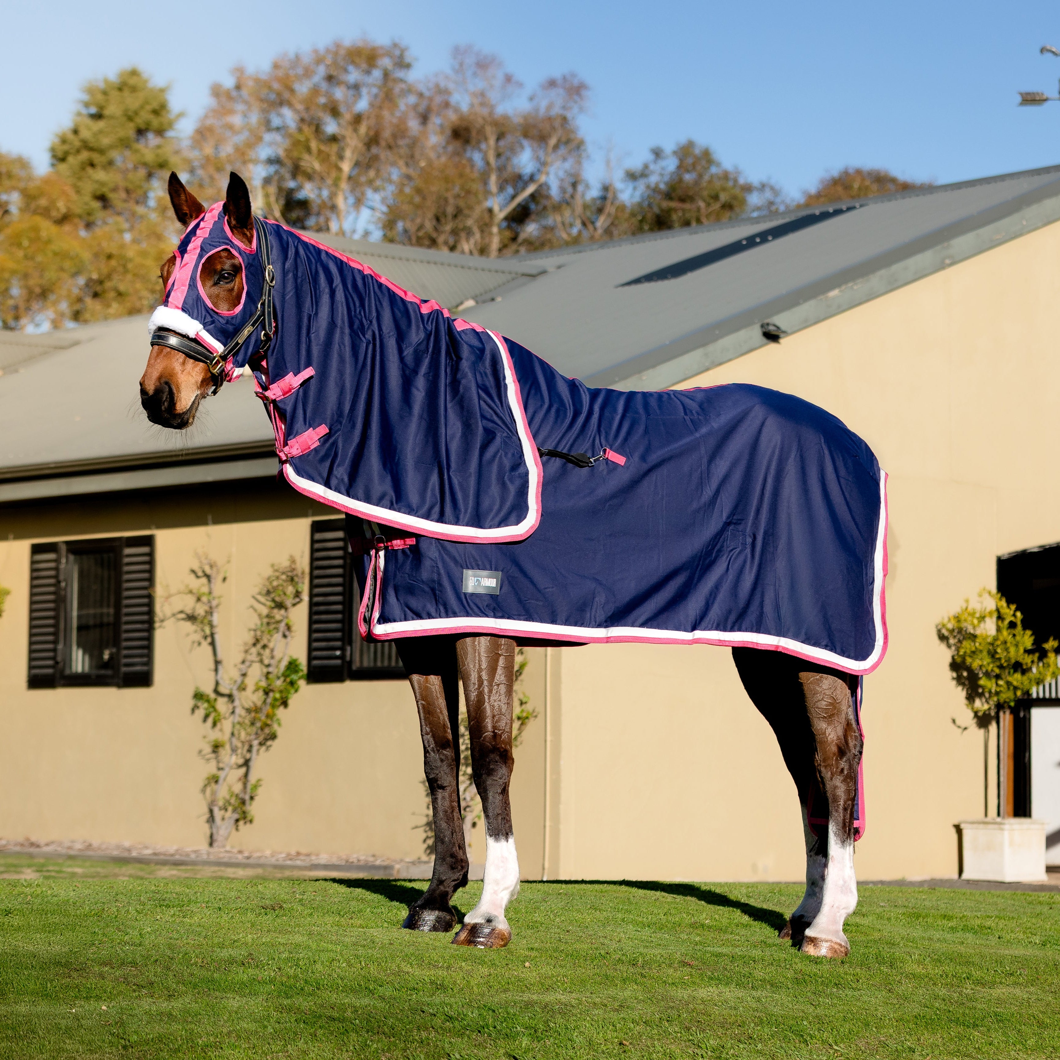 EQ Armour Show Set – EQ Saddlery