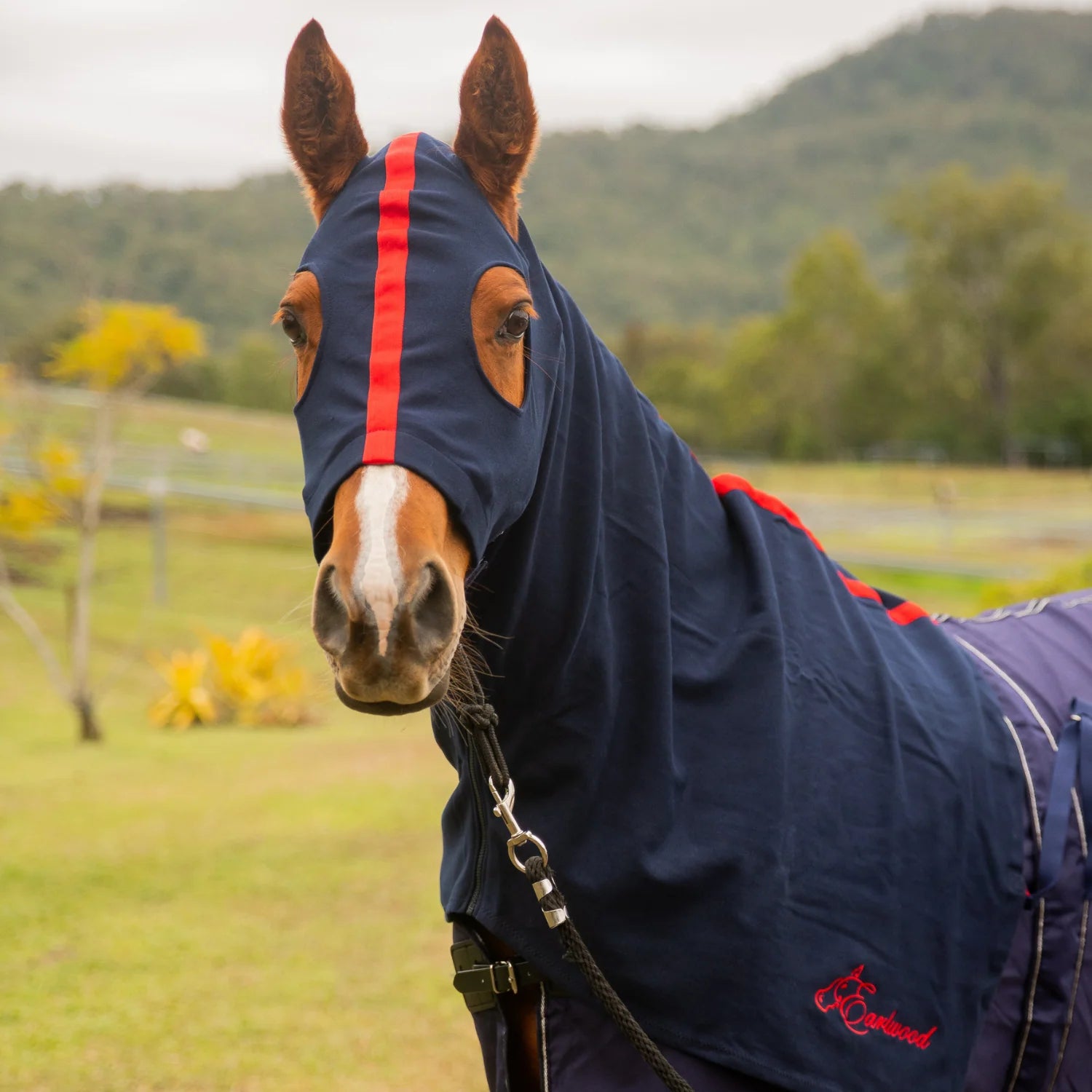 Earlwood Hood with Zip – EQ Saddlery