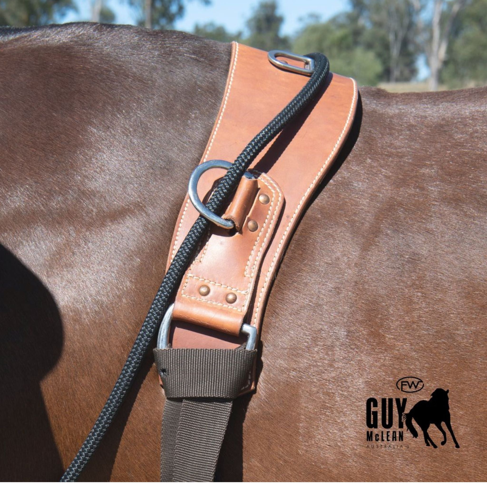 Fort Worth Guy McLean Training Surcingle – EQ Saddlery