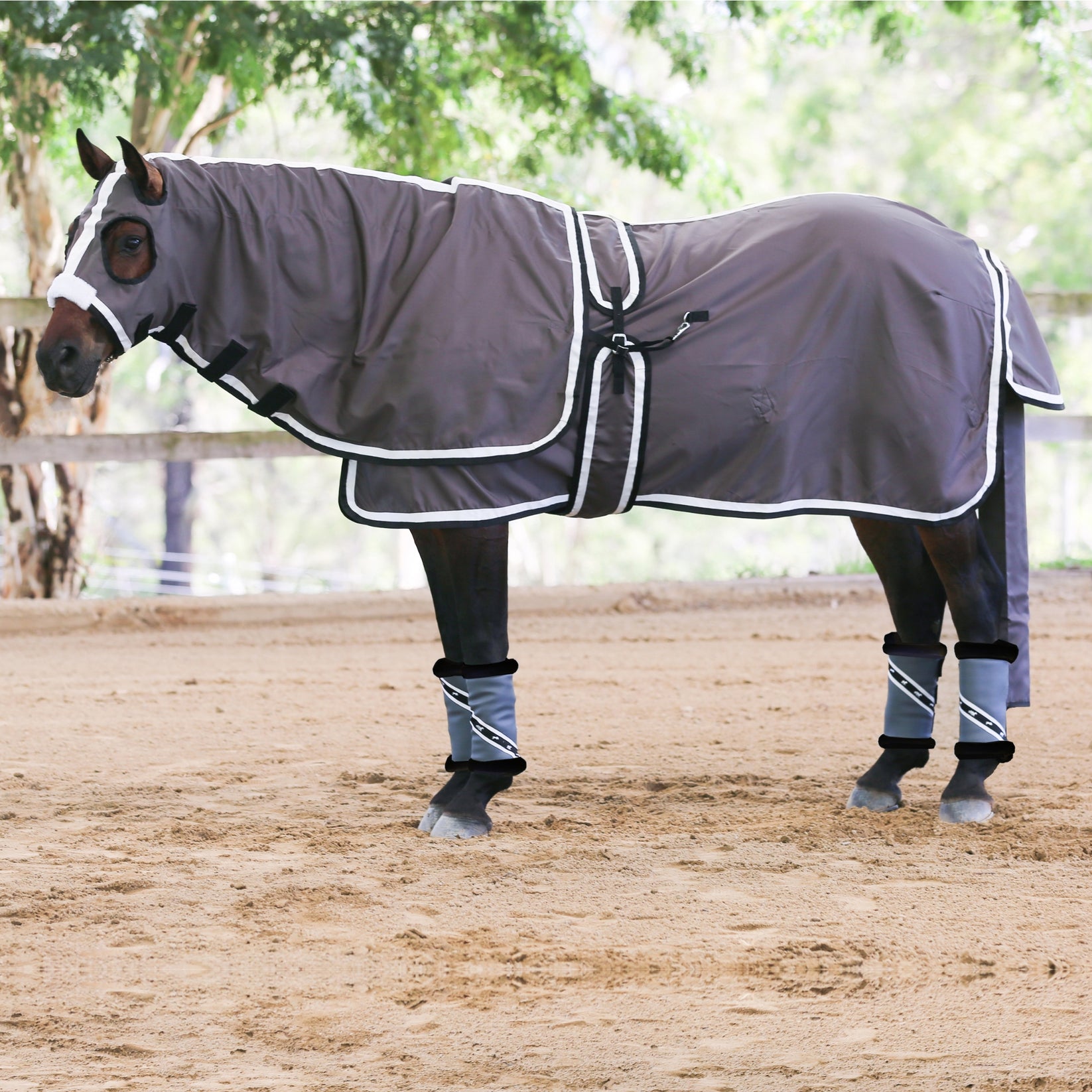Buy Gala Equine Show Rug Set $83.99