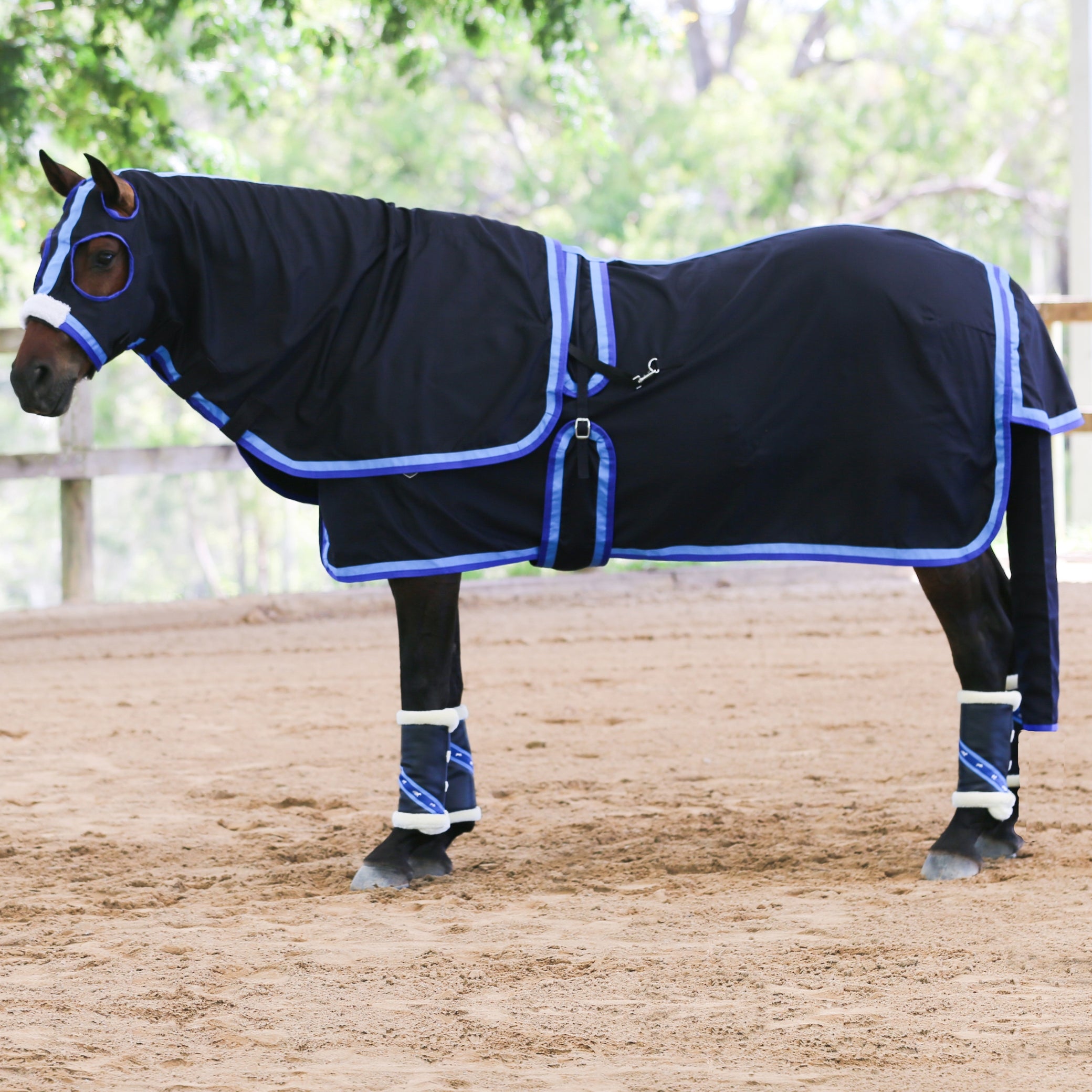 Gala Equine Show Rug Set – EQ Saddlery