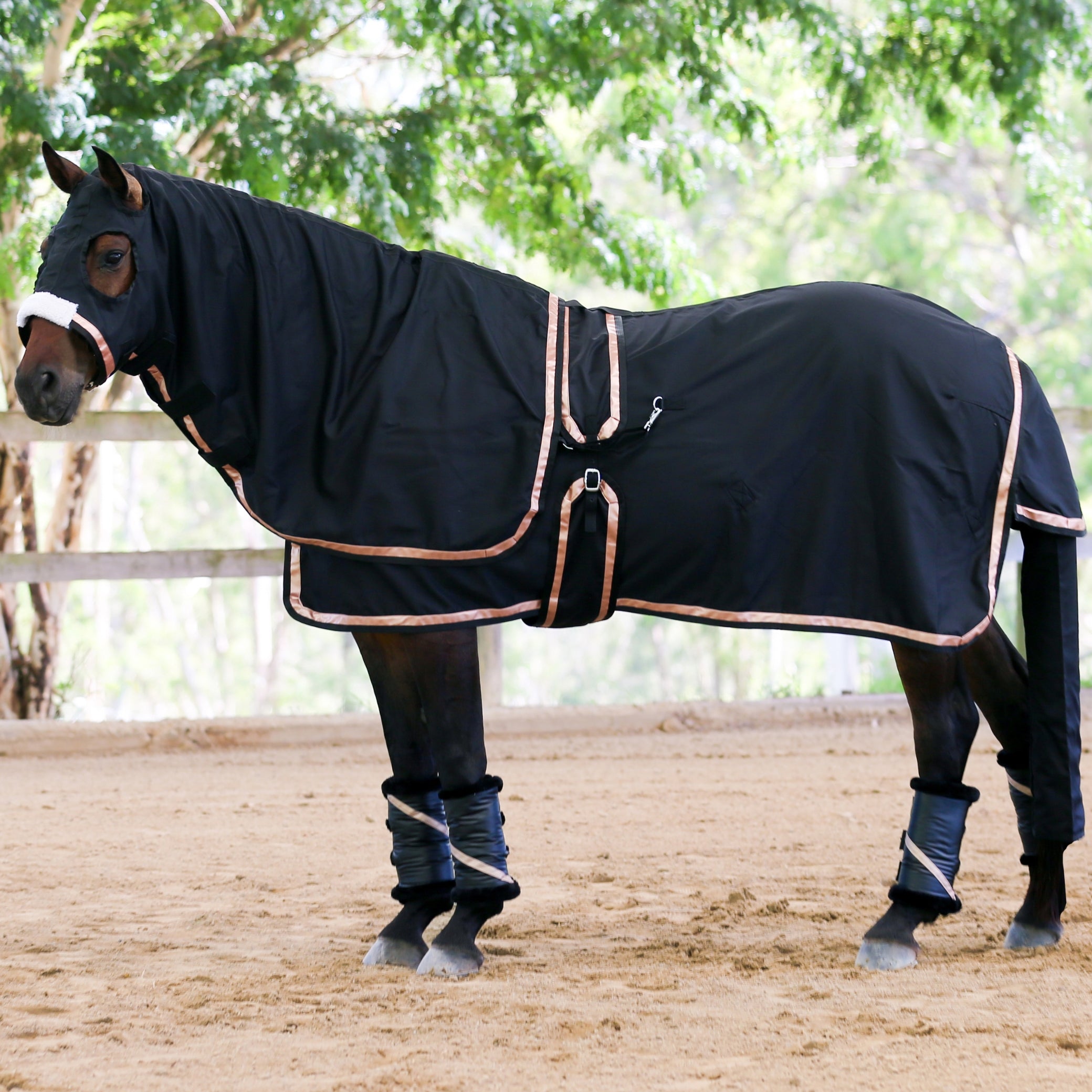 Gala Equine Show Rug Set – EQ Saddlery