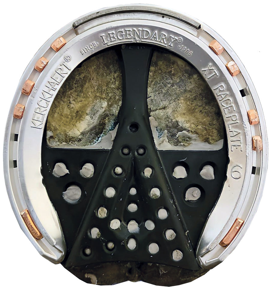 Half Mesh Pads – EQ Saddlery