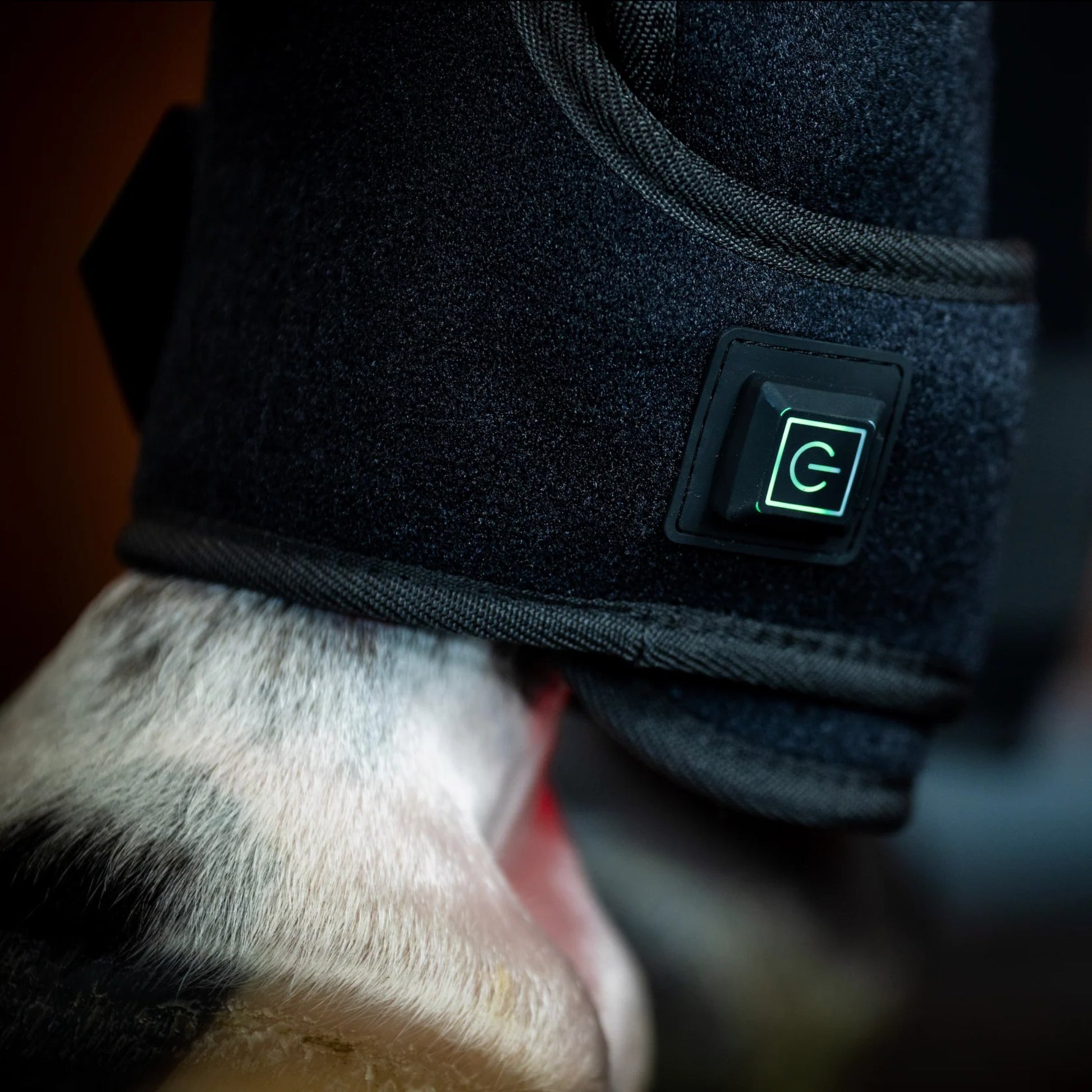 Horseware LED Red Light Therapy Leg Wrap – EQ Saddlery