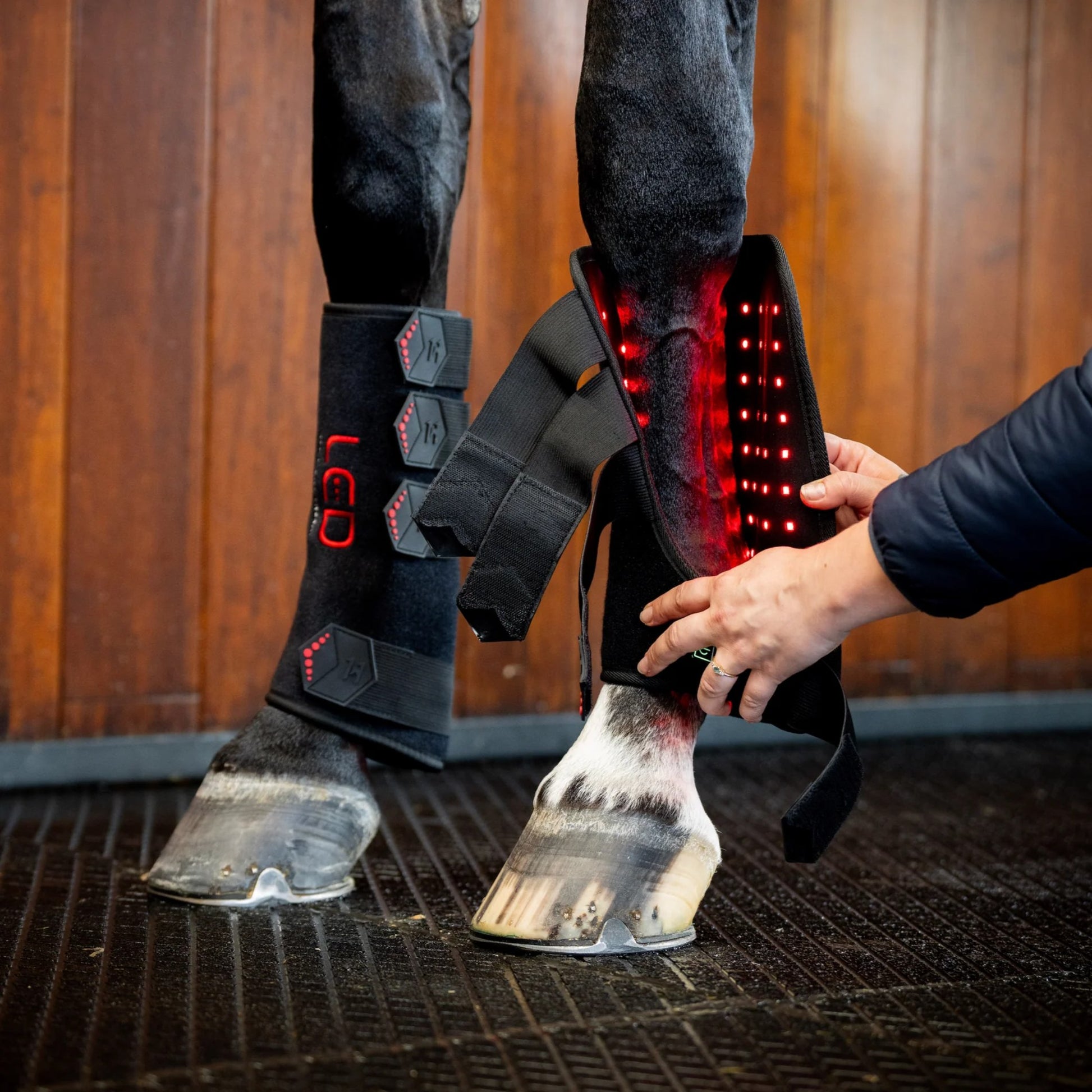 Horseware LED Red Light Therapy Leg Wrap – EQ Saddlery