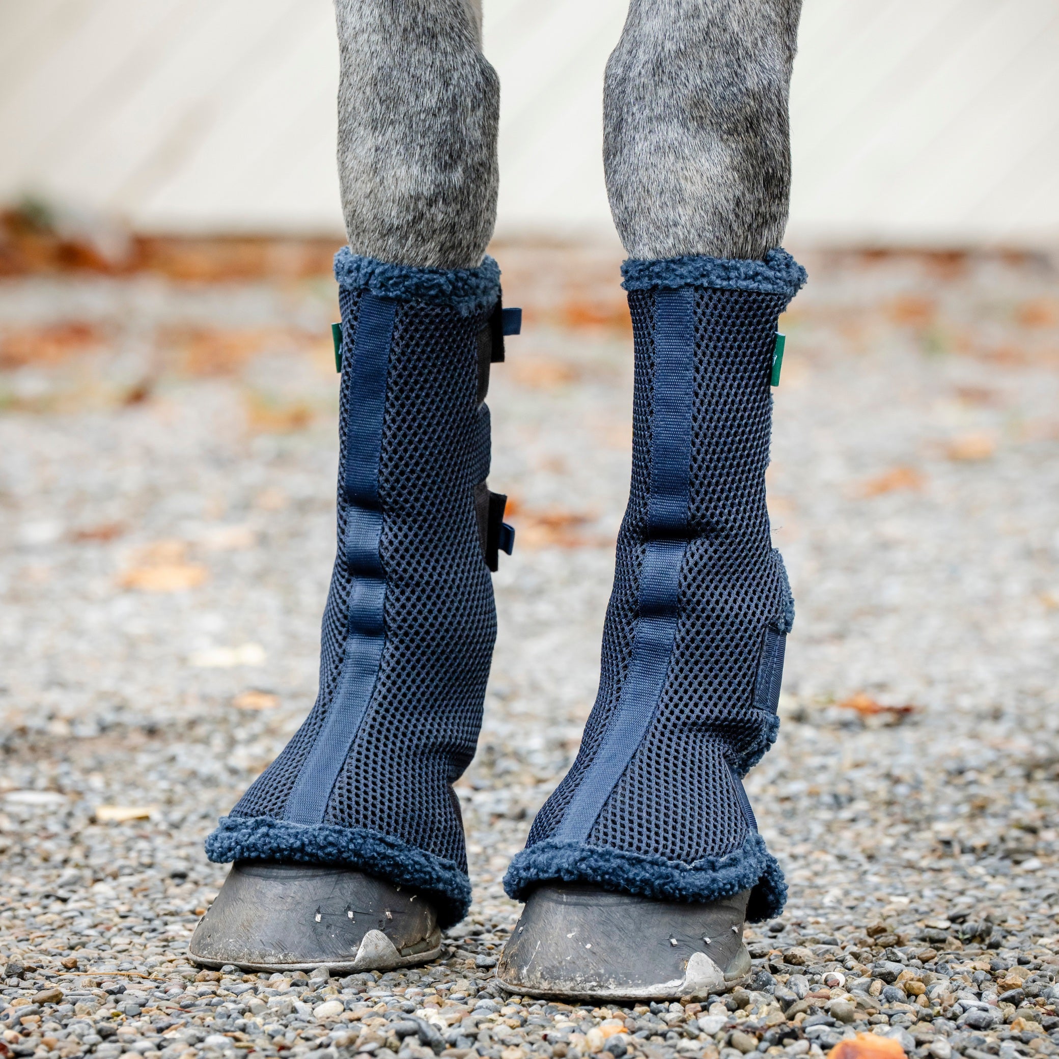 Horseware Show Ready Wraps – EQ Saddlery