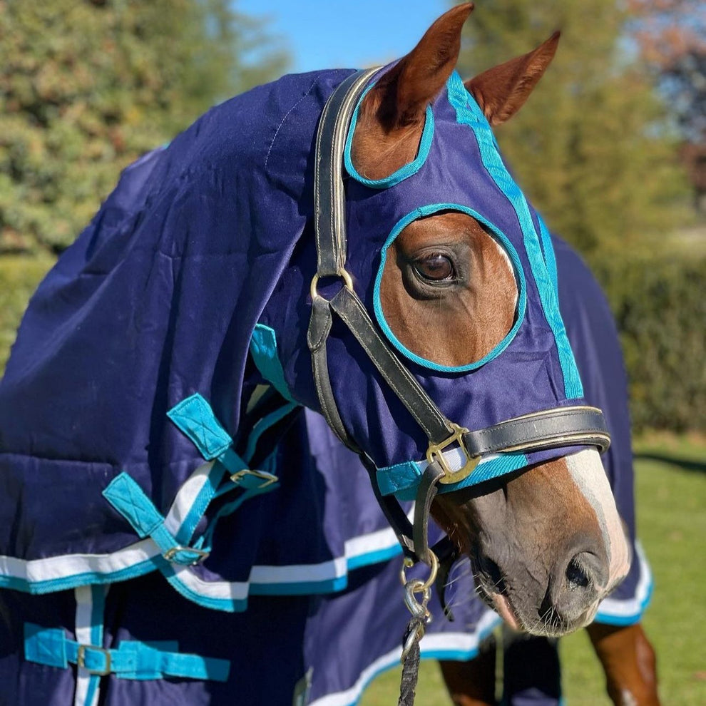 EQ Armour Show Set – EQ Saddlery