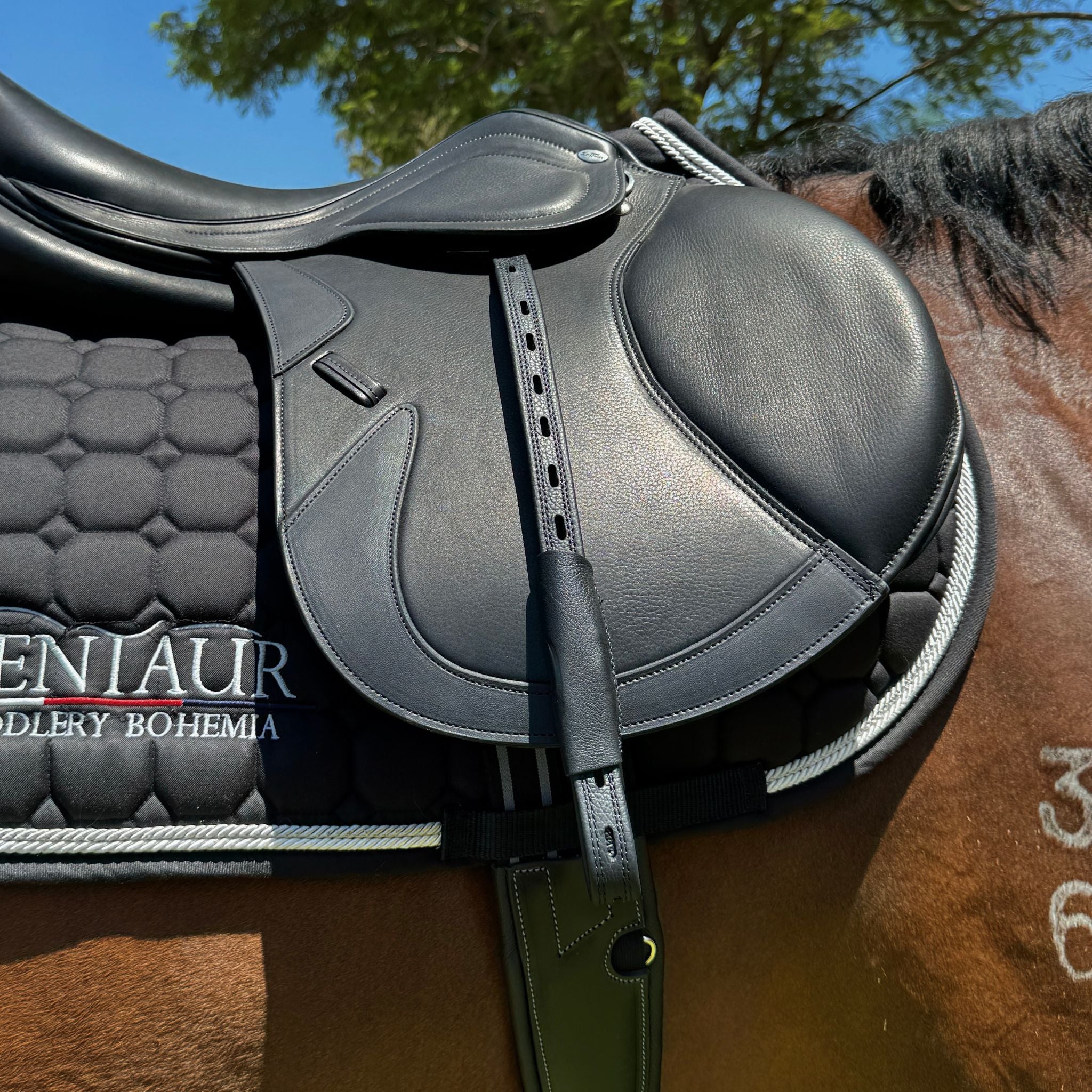 Kentaur Mono Stirrup Leathers – EQ Saddlery