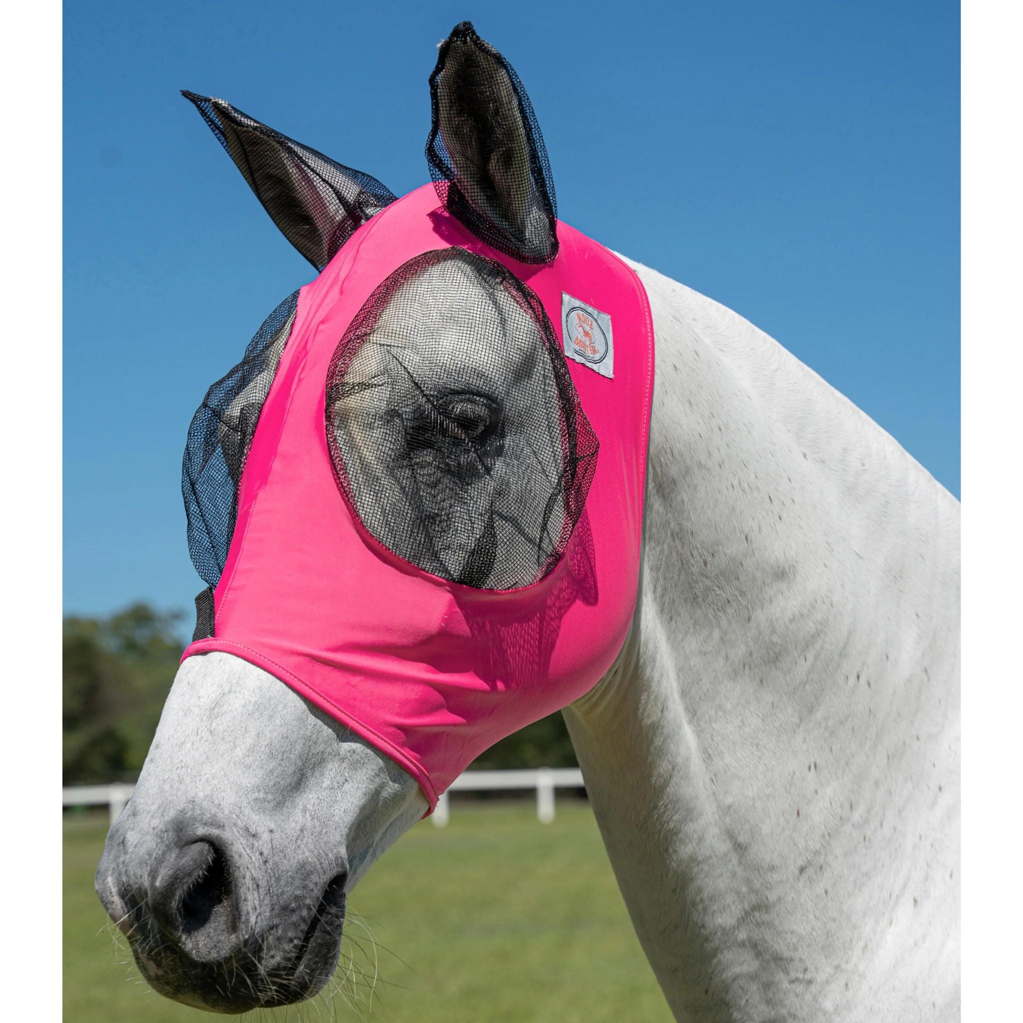 Kool Master Lycra Pull On Fly Mask – EQ Saddlery