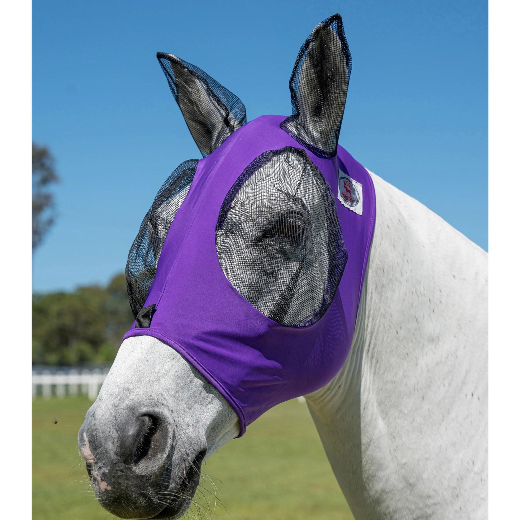 Kool Master Lycra Pull On Fly Mask – EQ Saddlery