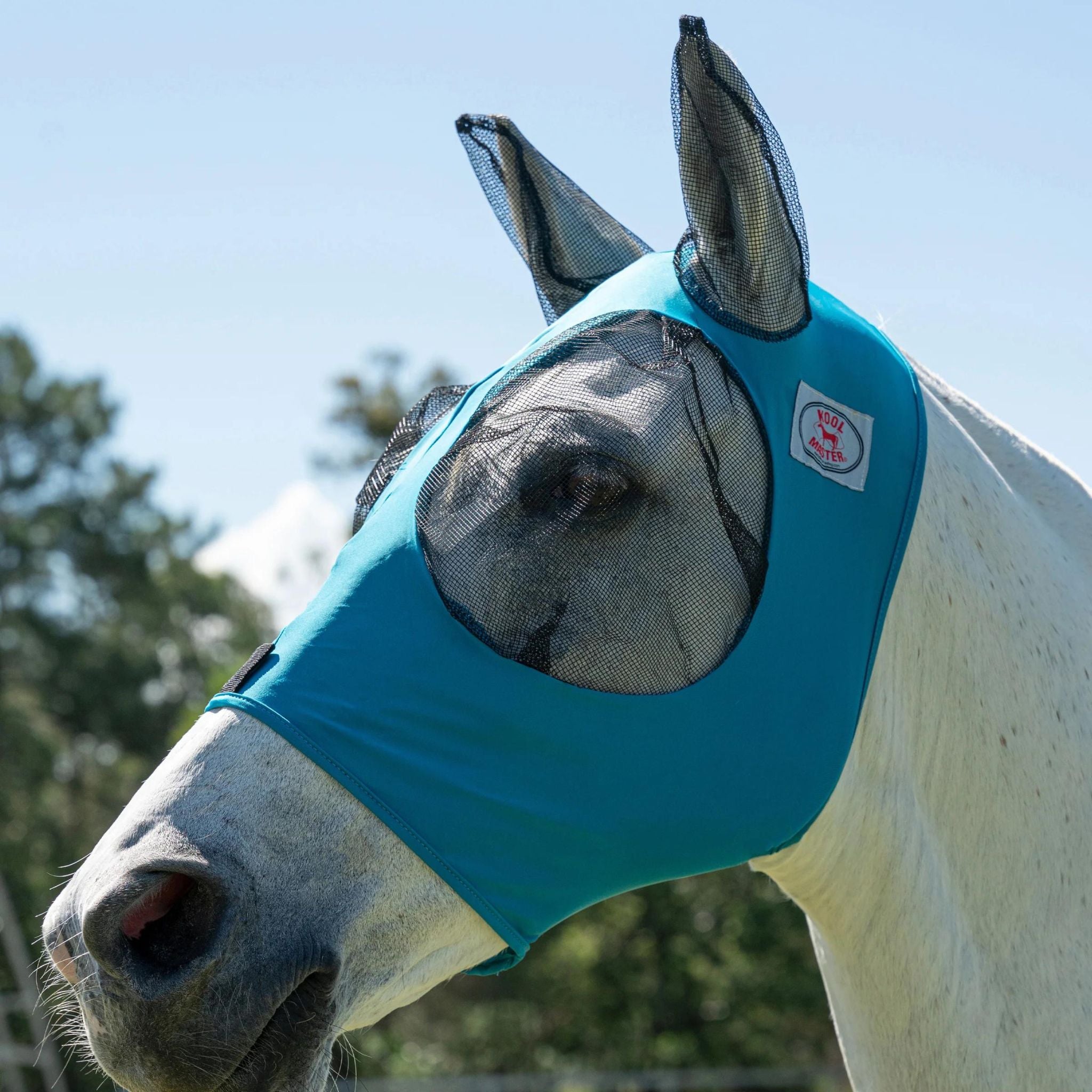 Kool Master Lycra Pull On Fly Mask – EQ Saddlery