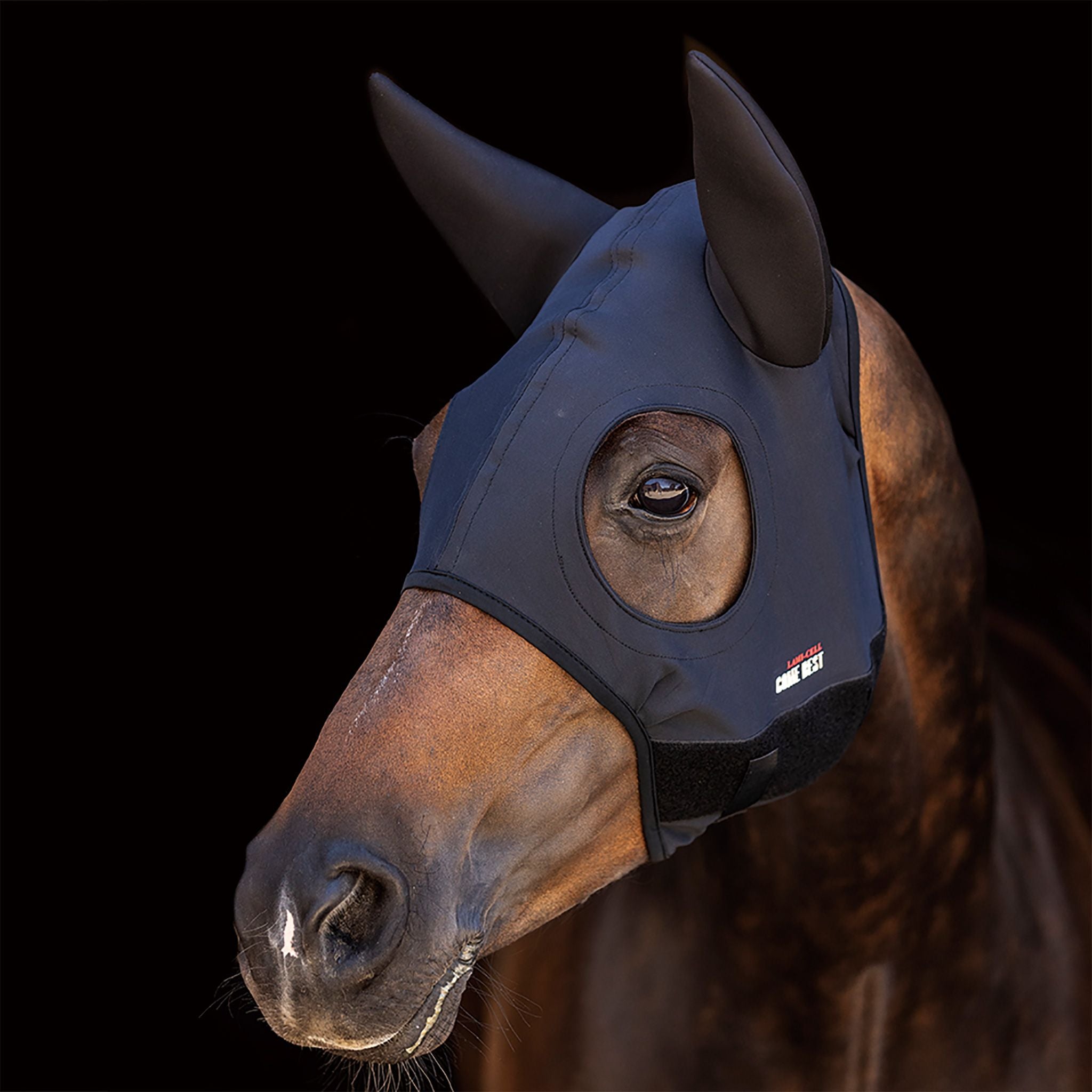 Lami-Cell Titanium Hood w Ears – EQ Saddlery