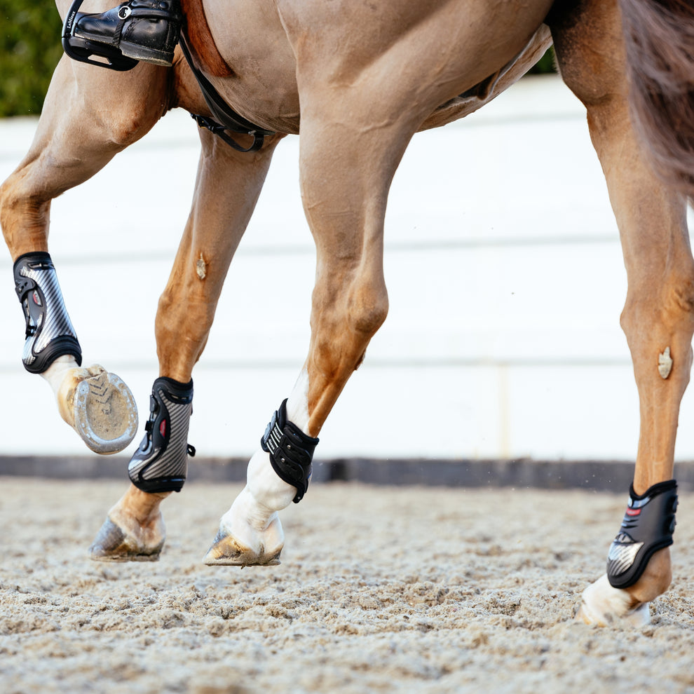 LeMieux EXO Flex Fetlock Boots – EQ Saddlery