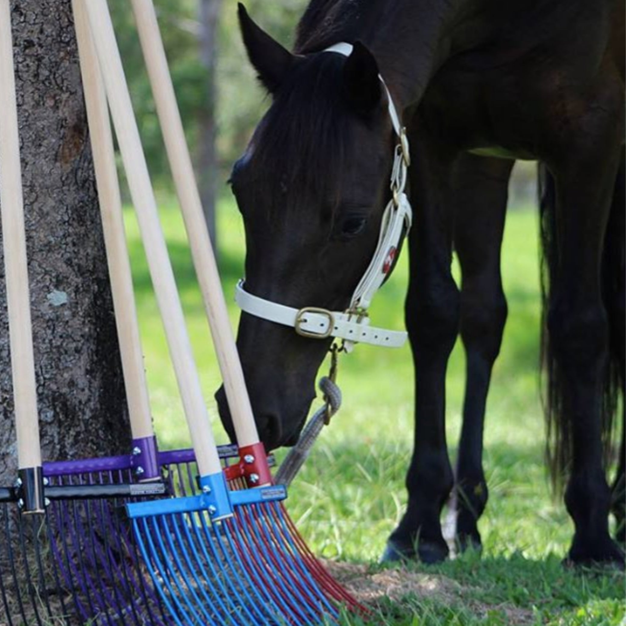 Buy Millenia Classic Stable Fork $79.99