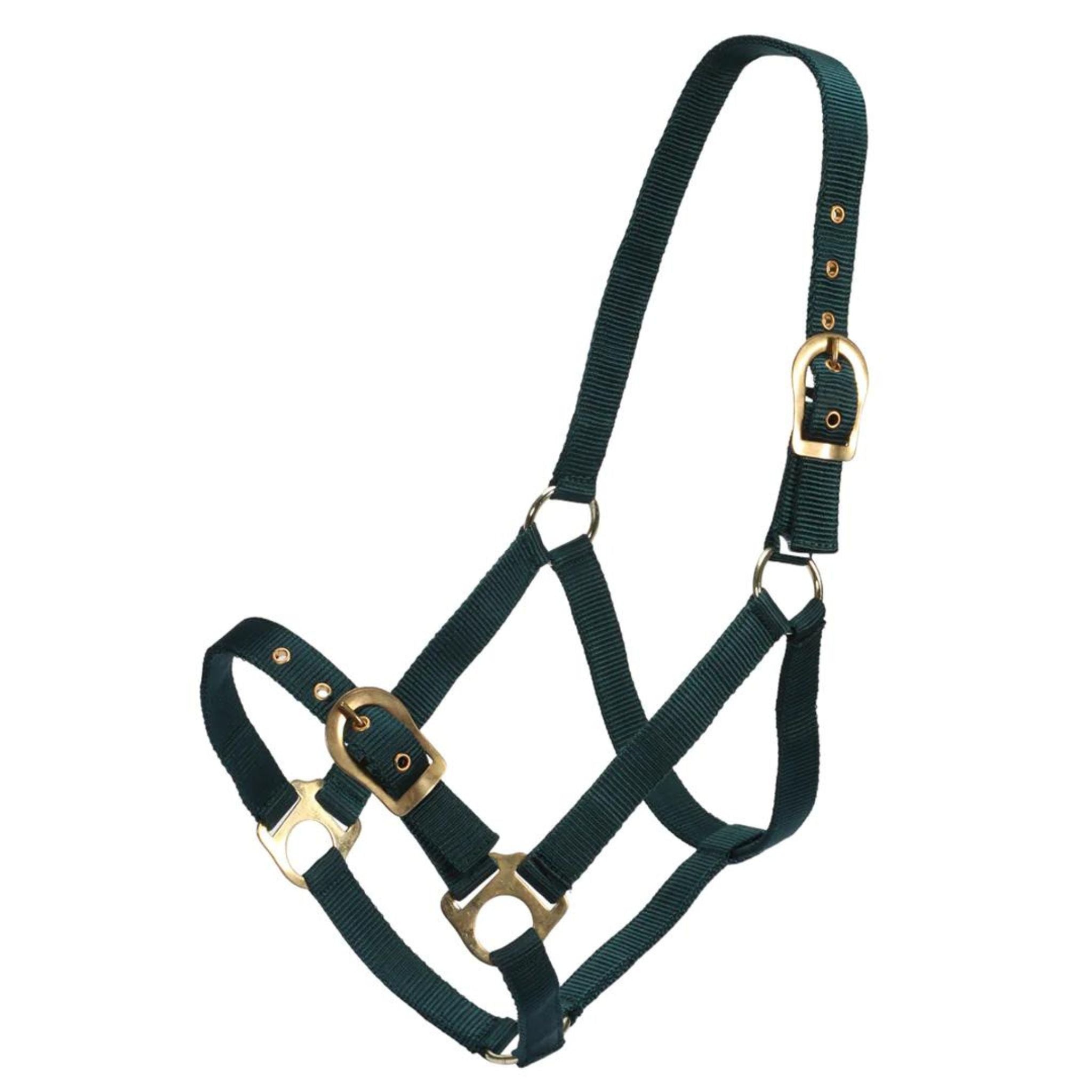 Rancher Halter w Brass Buckles – EQ Saddlery