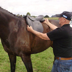 Saddle Fitting Services | EQ Saddlery