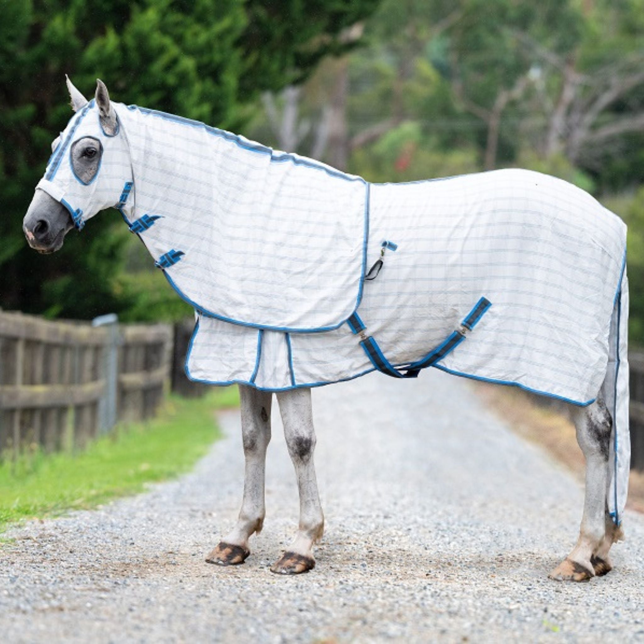 EQ Armour Summer Deluxe Show Set – EQ Saddlery