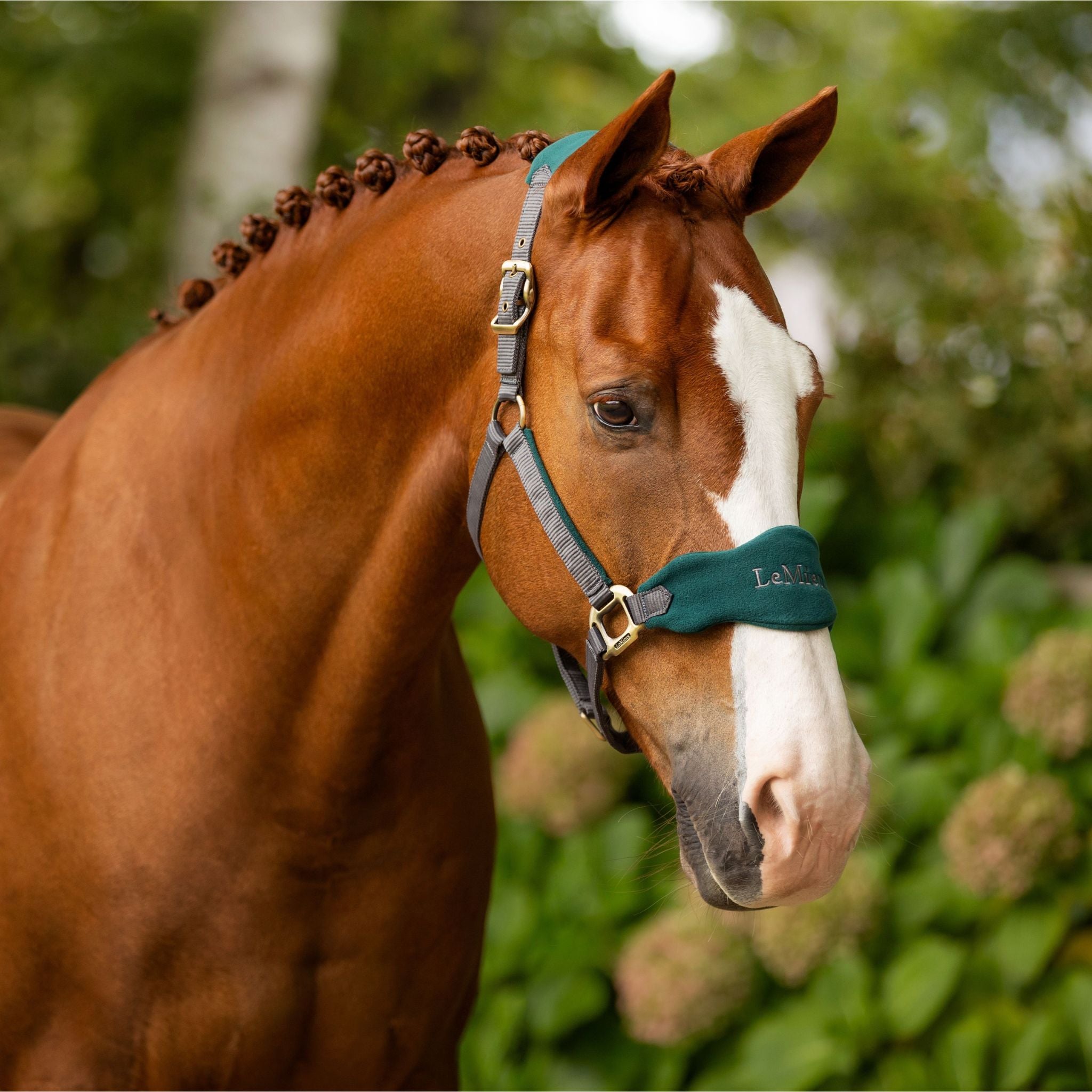 LeMieux Vogue Headcollar and Lead Rope – EQ Saddlery