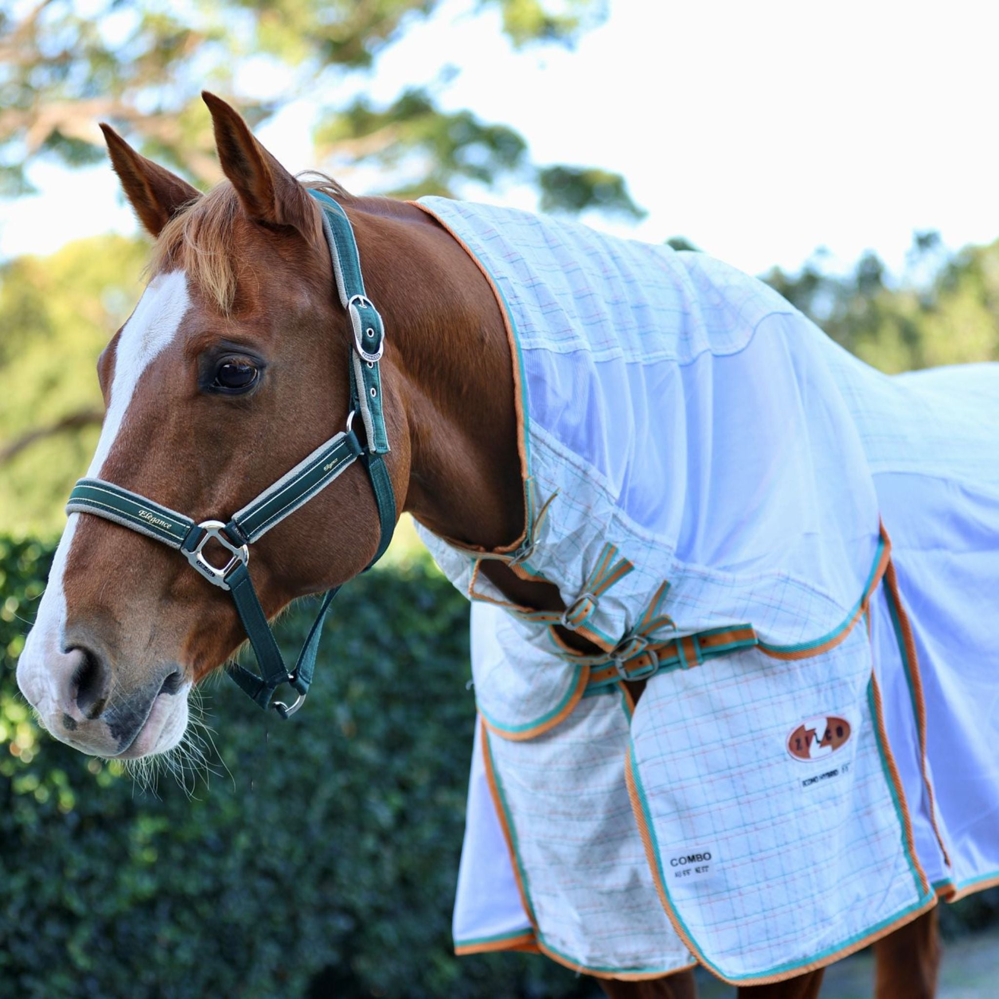 Horse Riding Equipment & Gear For Sale | Horse Shop Online - EQ Saddlery