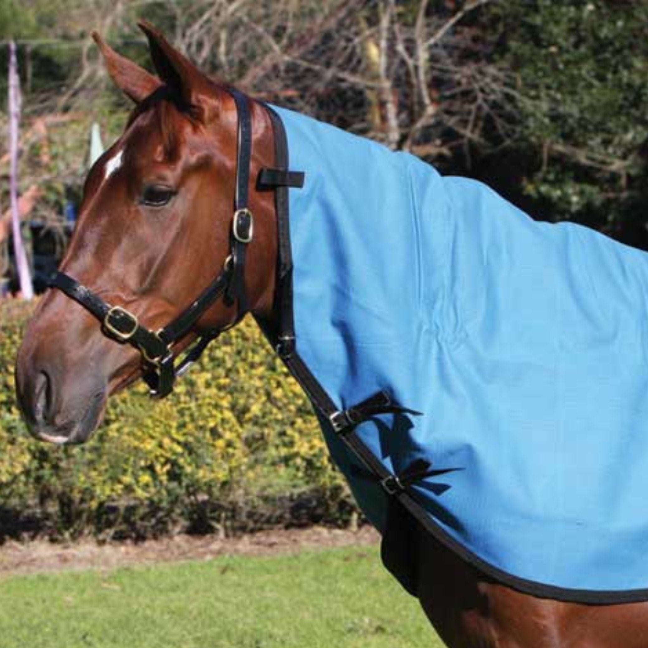 Zilco Rip Protect Neck Rug – EQ Saddlery