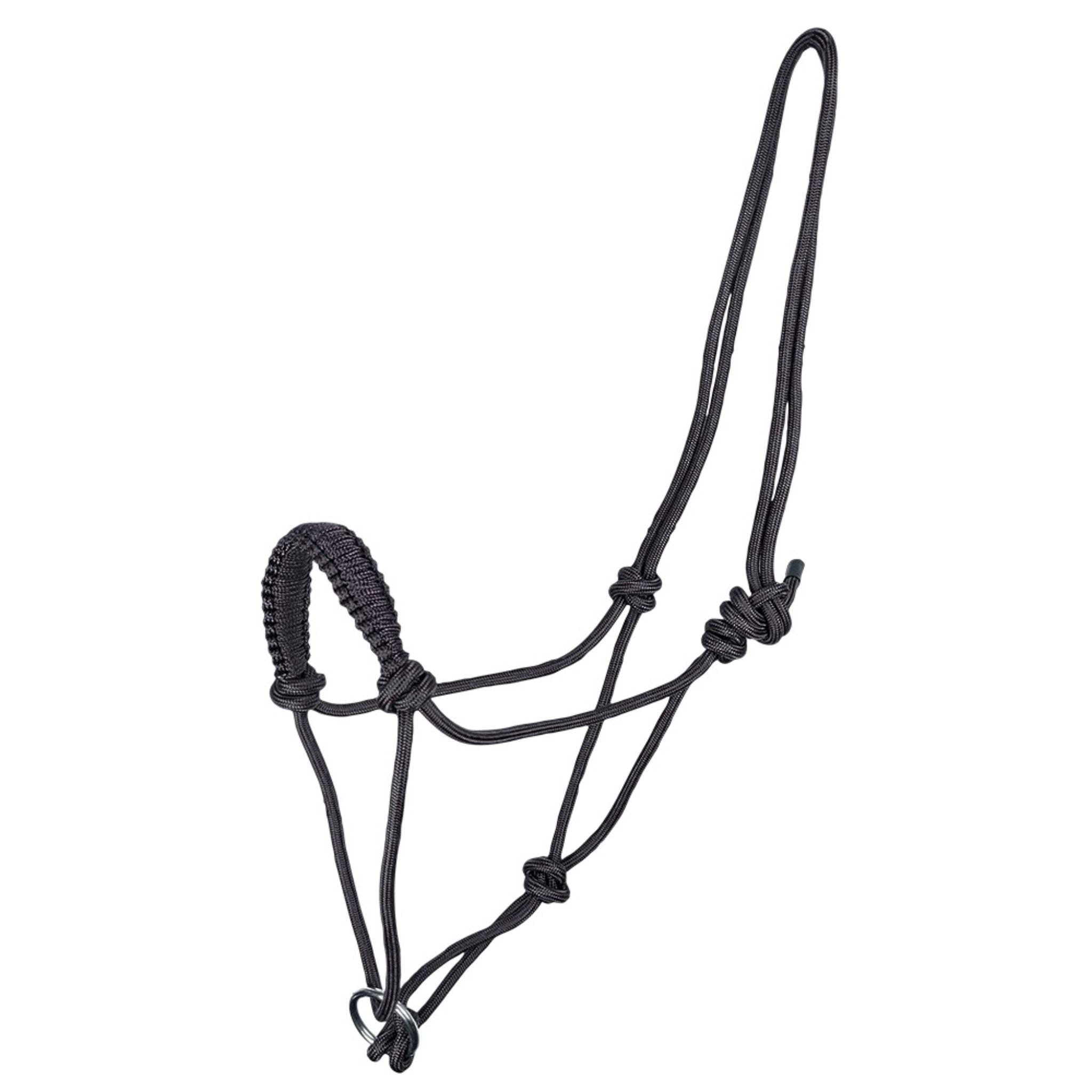 Rope Halter with Ring – EQ Saddlery